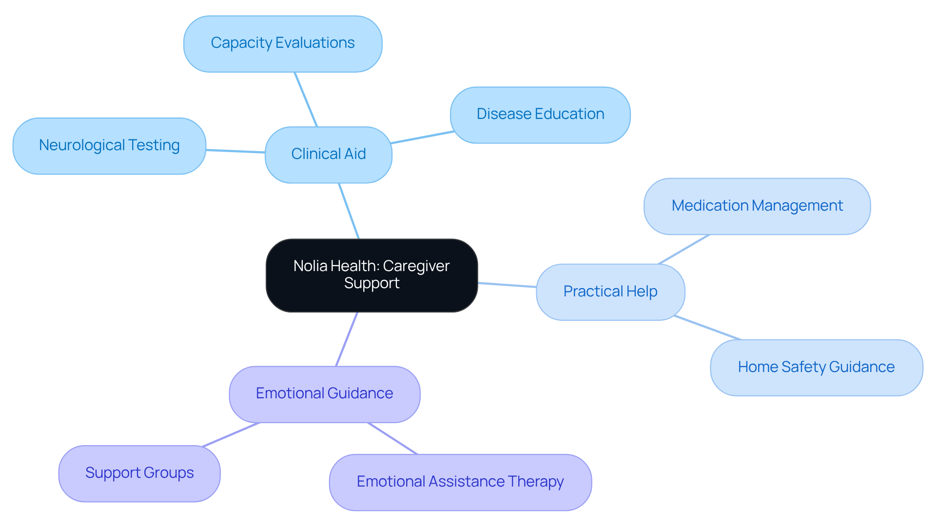 The center represents Nolia Health's commitment to caregiver support, while branches detail specific services and resources that help family caregivers manage their responsibilities. Each color-coded section highlights different types of support. The center represents Nolia Health's commitment to caregiver support, while branches detail specific services and resources that help family caregivers manage their responsibilities. Each color-coded section highlights different types of support.