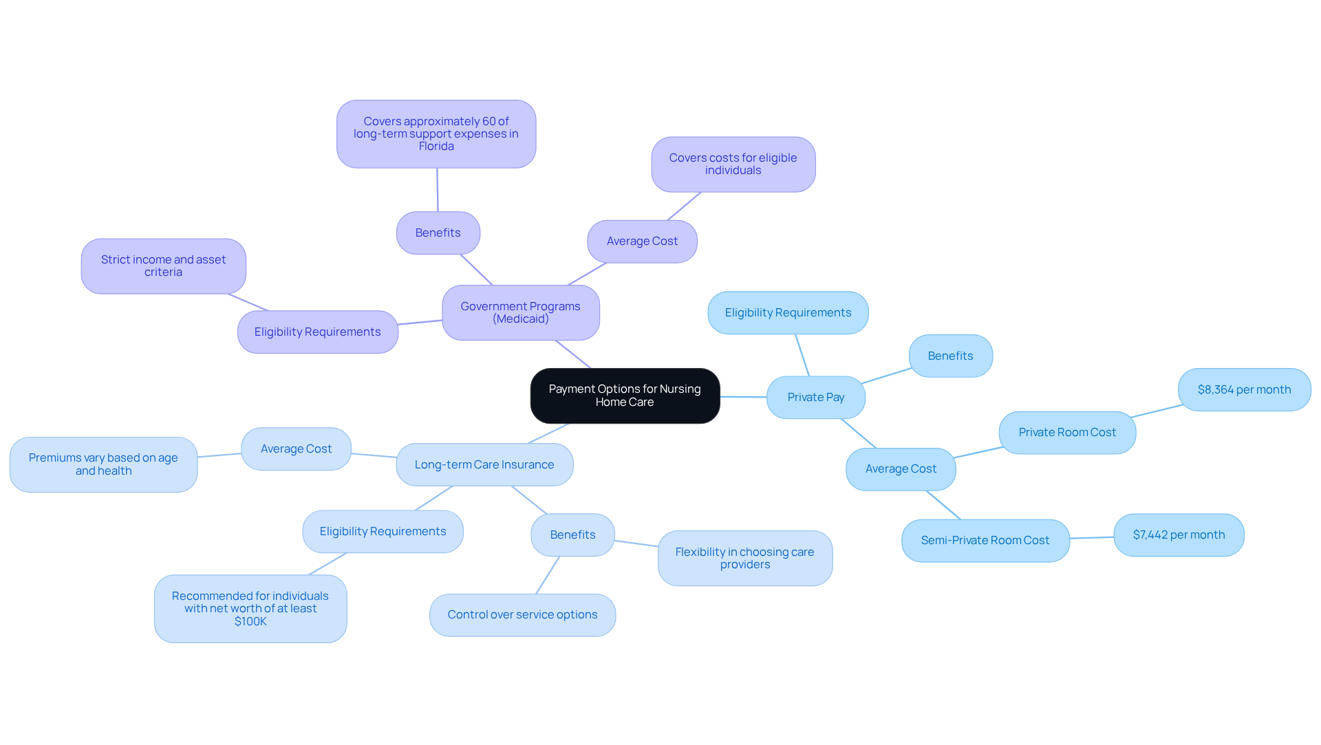 In this mindmap, the center shows the main topic of payment options for nursing homes. Each branch represents a different payment method, with further details on what families need to know for effective financial planning.