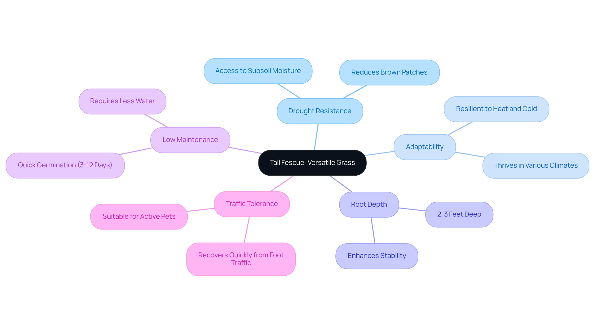 This mindmap starts with Tall Fescue at the center, branching out to show its main features and benefits. Each branch represents a key characteristic, and the sub-branches provide more details. This layout helps you see how Tall Fescue stands out as a grass choice for dog owners. This mindmap starts with Tall Fescue at the center, branching out to show its main features and benefits. Each branch represents a key characteristic, and the sub-branches provide more details. This layout helps you see how Tall Fescue stands out as a grass choice for dog owners.
