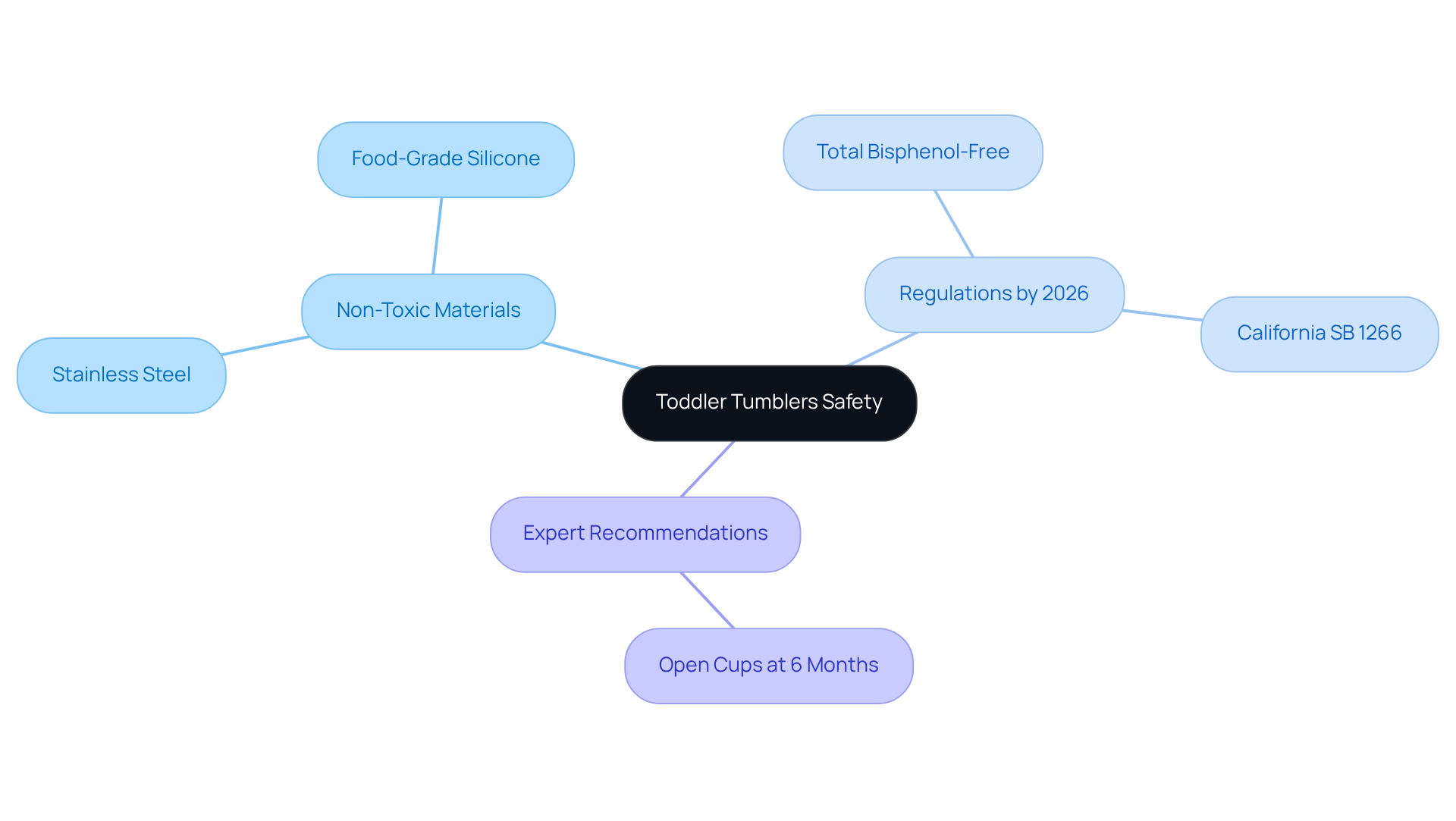The center shows the main focus on safety, with branches leading to specific materials, upcoming regulations, and expert advice. Each branch helps you understand different aspects of ensuring your child's drinkware is safe.