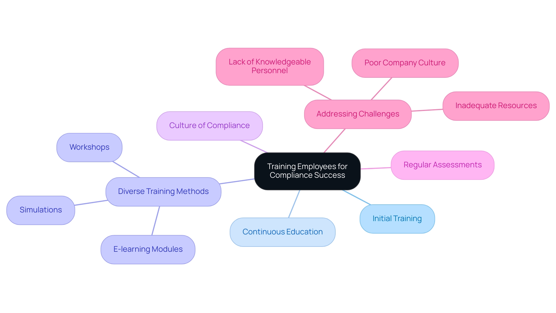 The central node represents the overall goal of the training program, with branches illustrating key aspects and sub-branches detailing specific components.