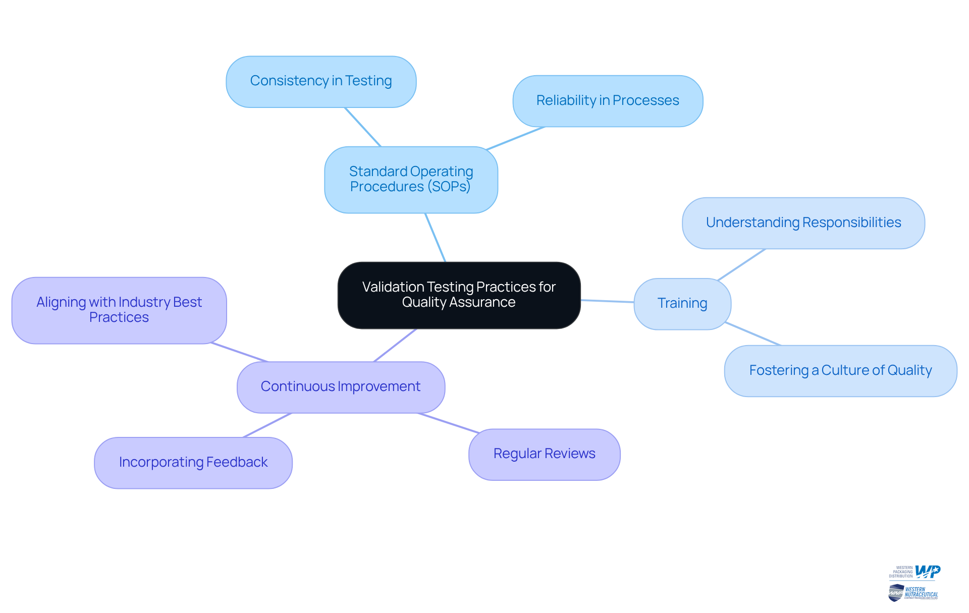 The central node represents the main focus of quality assurance in validation testing. Each branch shows a critical practice that supports this focus, while the sub-nodes provide additional details on how these practices can be implemented effectively.