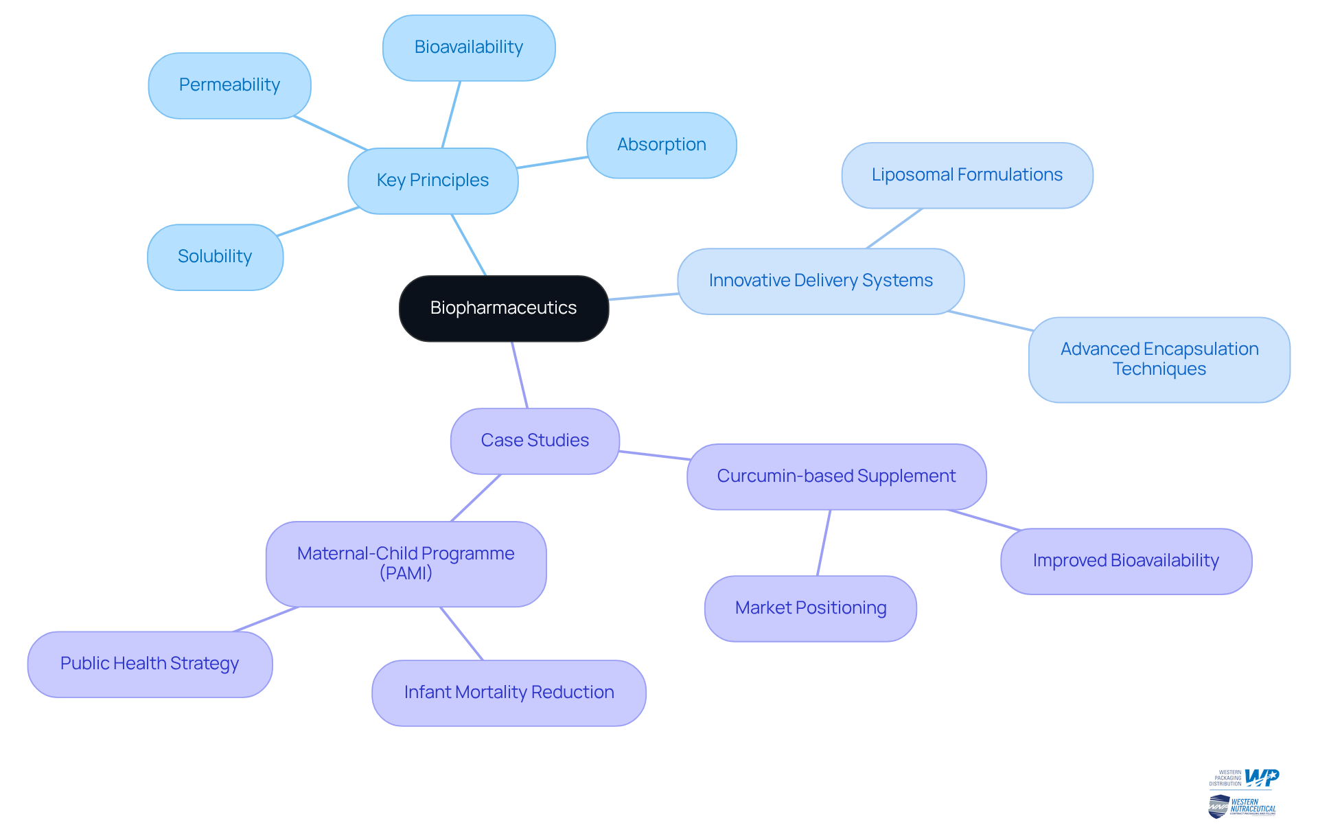 The central node represents the main topic of biopharmaceutics. Branches lead to important principles and examples that illustrate how this field impacts drug effectiveness and safety in nutraceuticals.
