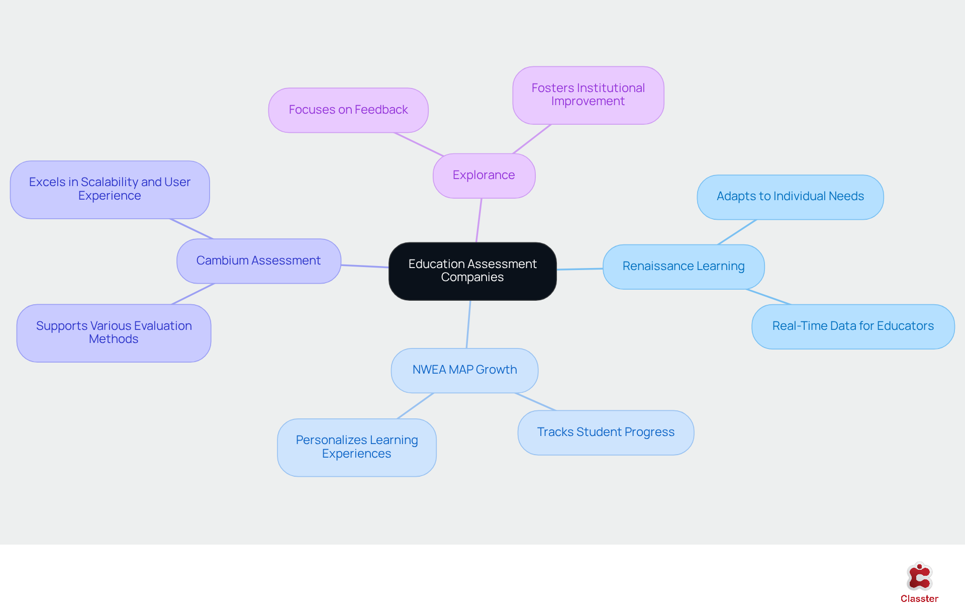 The central node represents the overall topic, while each branch shows a different company. Follow the branches to see what makes each company unique and how they can meet specific educational needs.