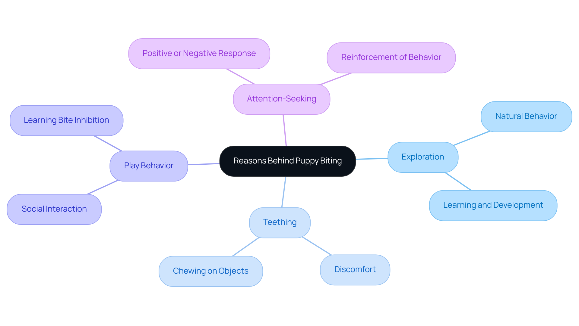 The central node represents the main topic, while the branches indicate various reasons for puppy biting. Each color-coded branch helps to differentiate between the factors, making it easier to follow and understand the content.