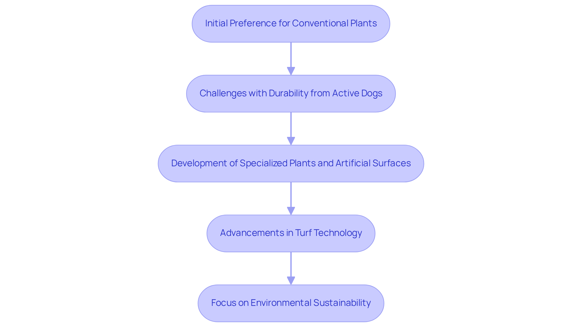 This flowchart shows how landscaping for dogs has changed over time. Each box represents a key step in the development process, from initial preferences to modern sustainable solutions.