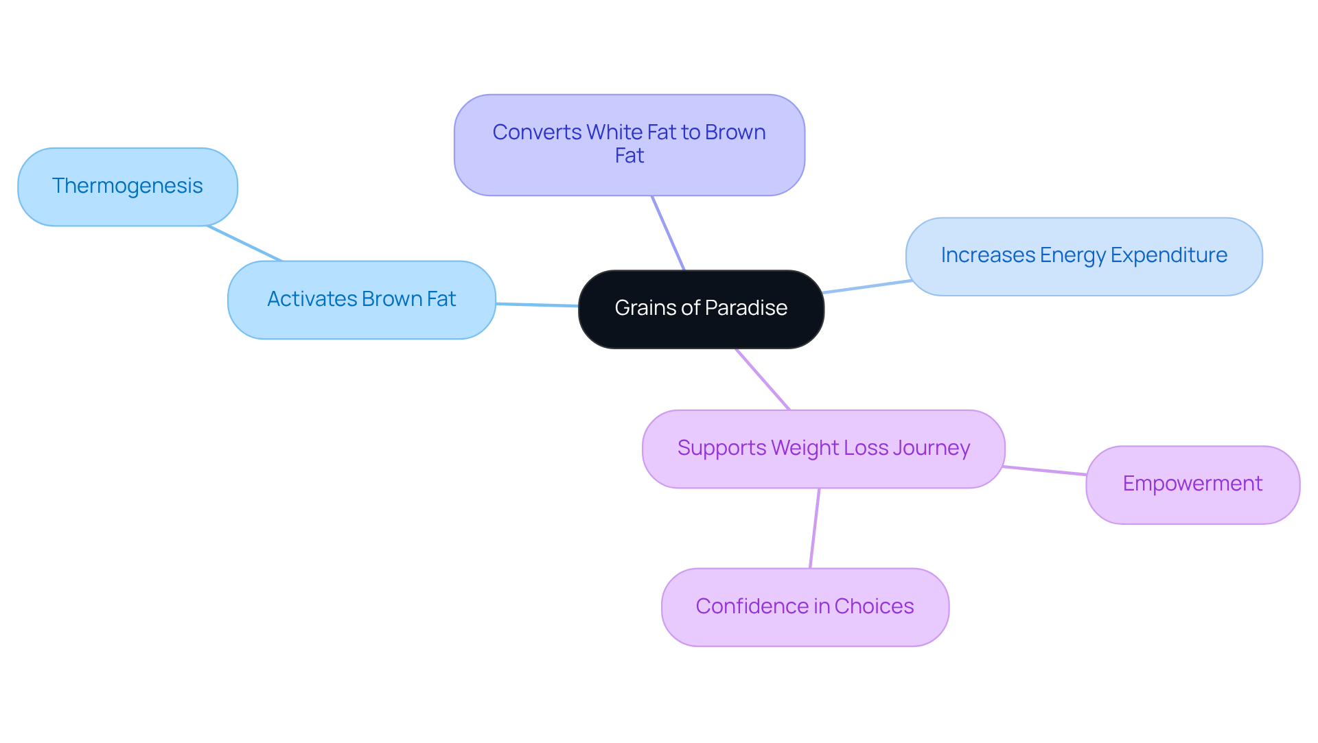 The central node represents grains of paradise, while the branches show its various benefits. Each branch highlights how this supplement can support your weight loss journey, making it easier to understand the connections. The central node represents grains of paradise, while the branches show its various benefits. Each branch highlights how this supplement can support your weight loss journey, making it easier to understand the connections.