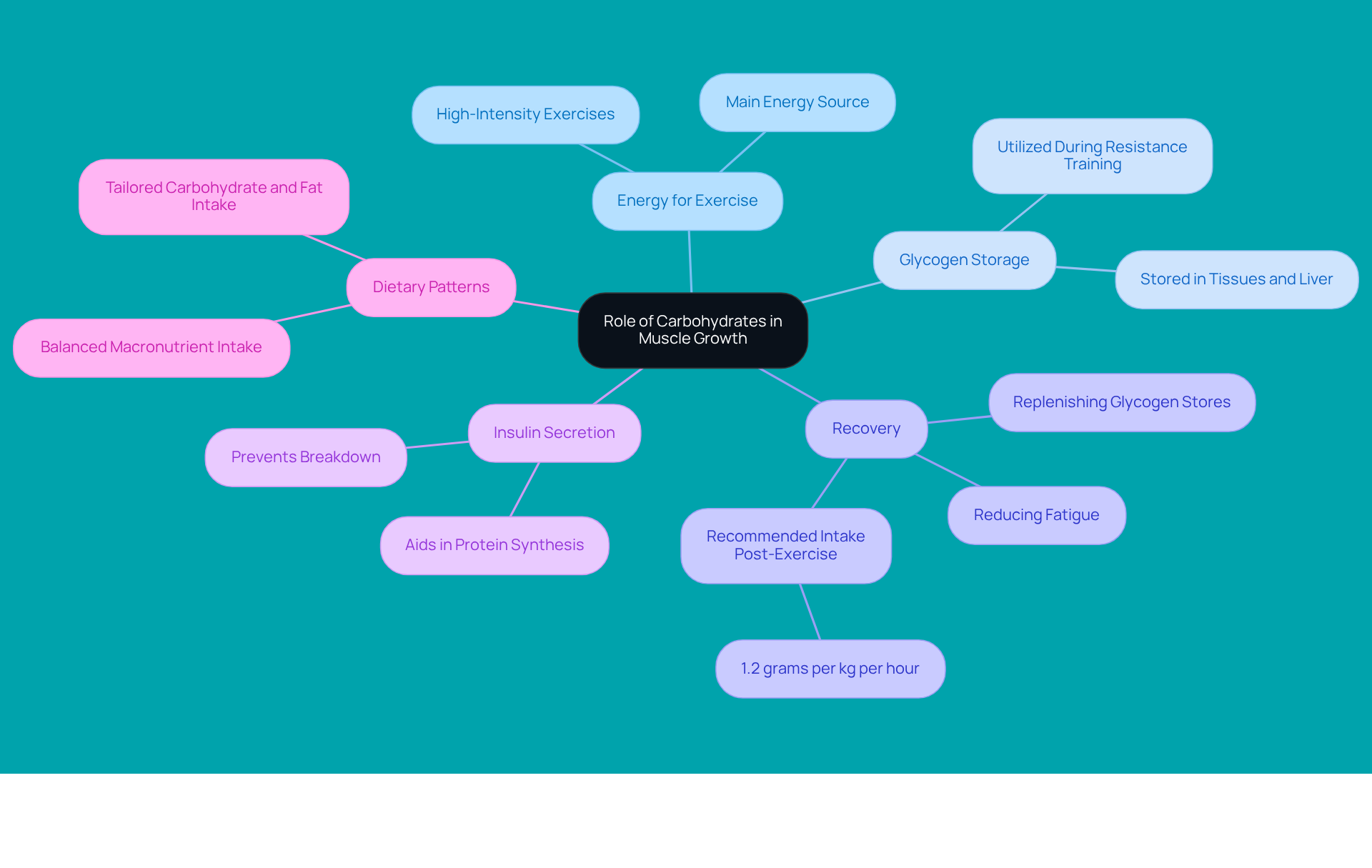 The central node represents the main topic, while the branches show how carbohydrates contribute to energy, recovery, and overall muscle development. Each sub-branch provides more detail on specific aspects, helping you see the big picture of how carbs support your fitness goals.