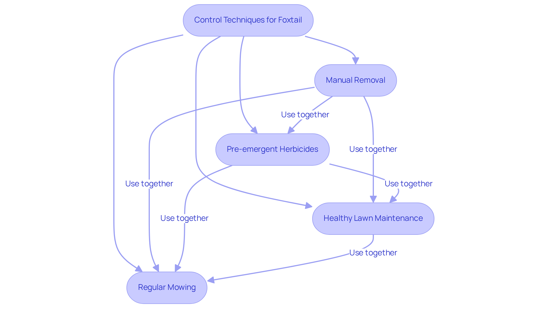 Each box represents a method to control foxtail. Follow the arrows to see how these techniques can work together to help you reclaim your garden. Each box represents a method to control foxtail. Follow the arrows to see how these techniques can work together to help you reclaim your garden.