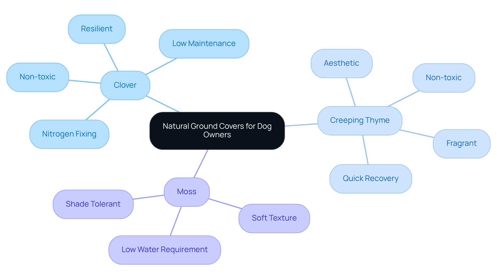 This mindmap shows various natural ground covers that are safe for dogs. Each branch represents a type of ground cover, and the sub-branches highlight their unique benefits. Follow the branches to explore how each option can enhance your yard while being pet-friendly.