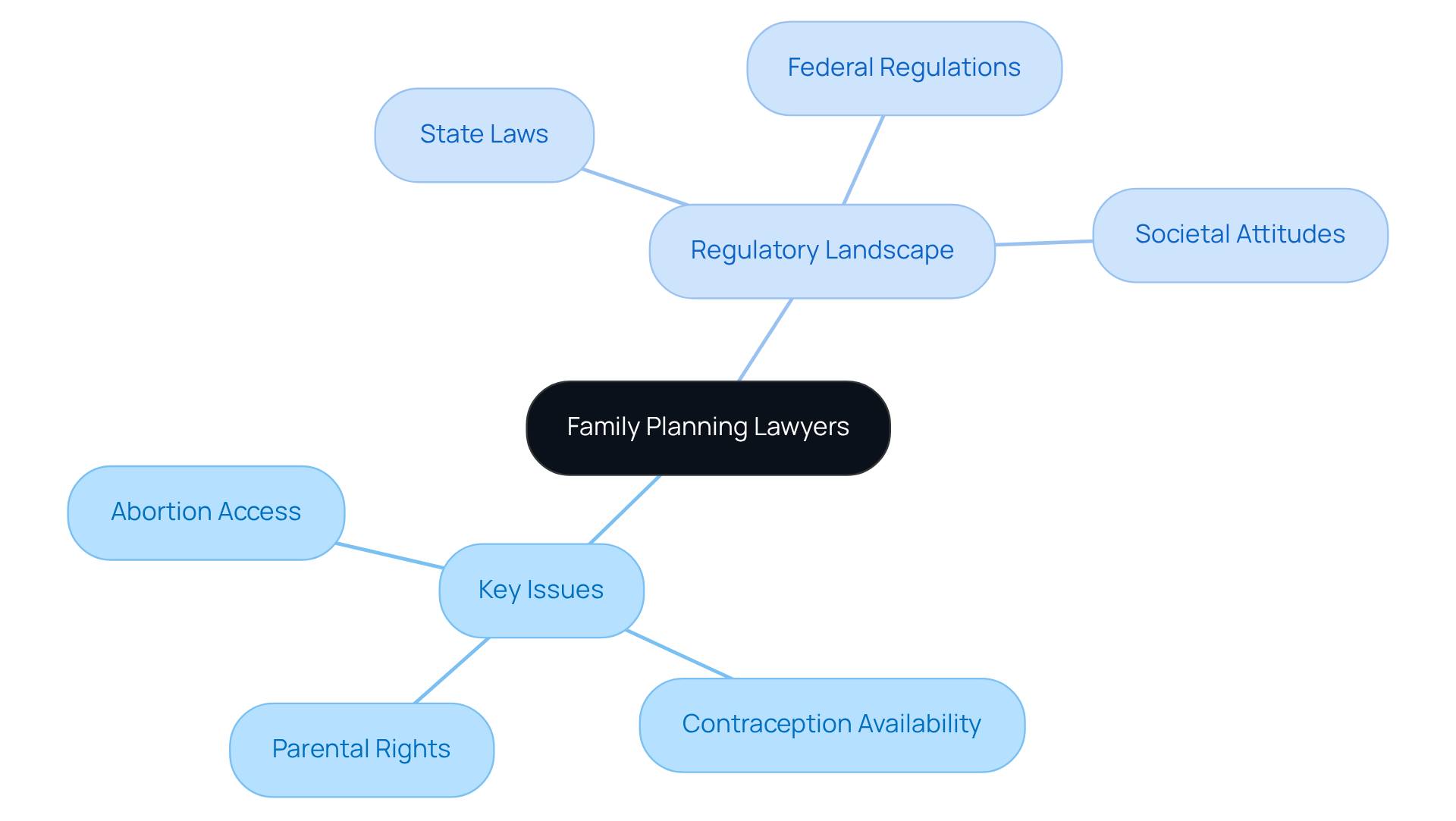 The center represents family planning lawyers, with branches showing the key issues they address and the regulatory factors influencing their work. Each branch helps you see how these elements connect and contribute to the role of these legal professionals.