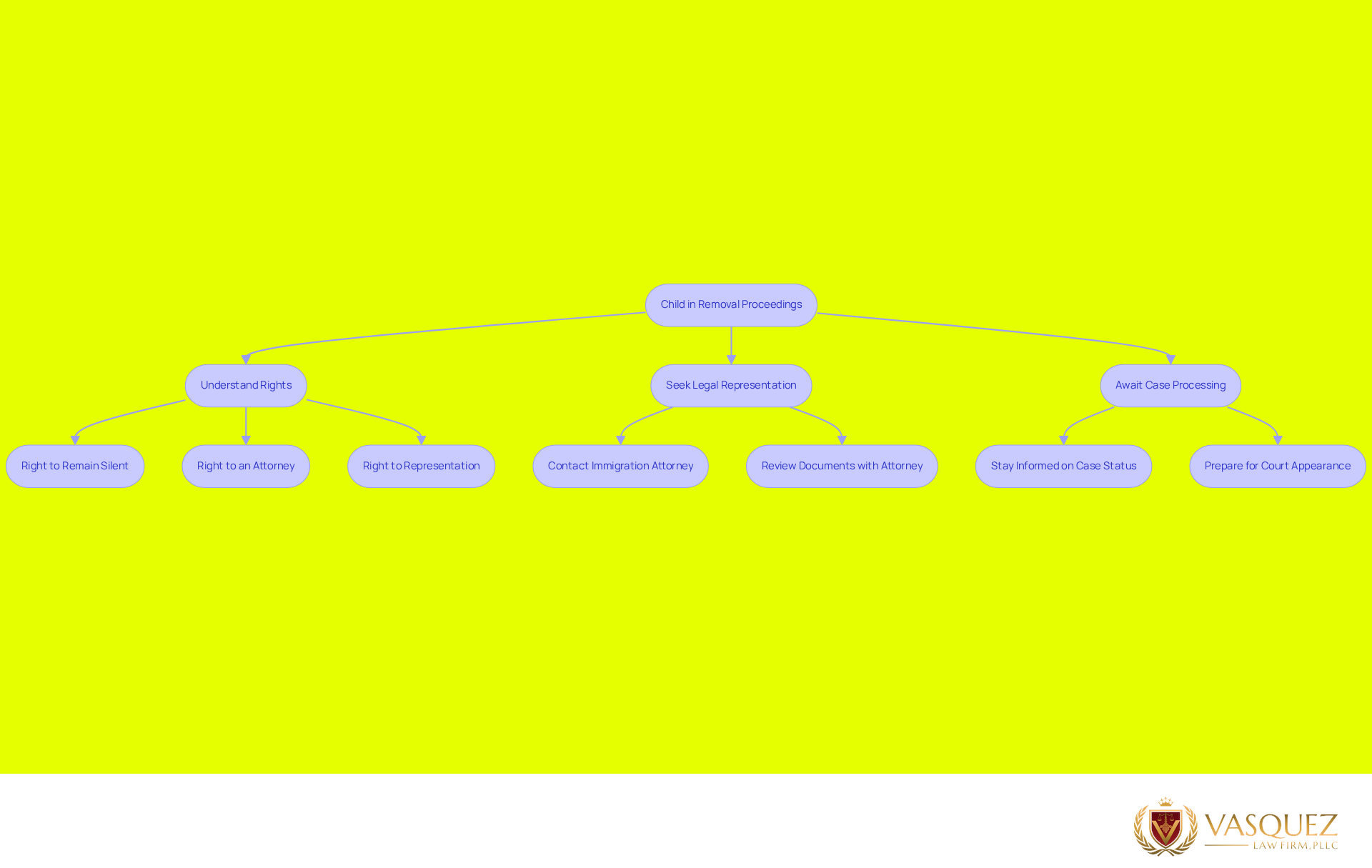 This flowchart guides you through the steps a child should take when in removal proceedings. Each box represents a key action or decision point, helping to ensure that their rights are protected and that they receive the necessary legal support.