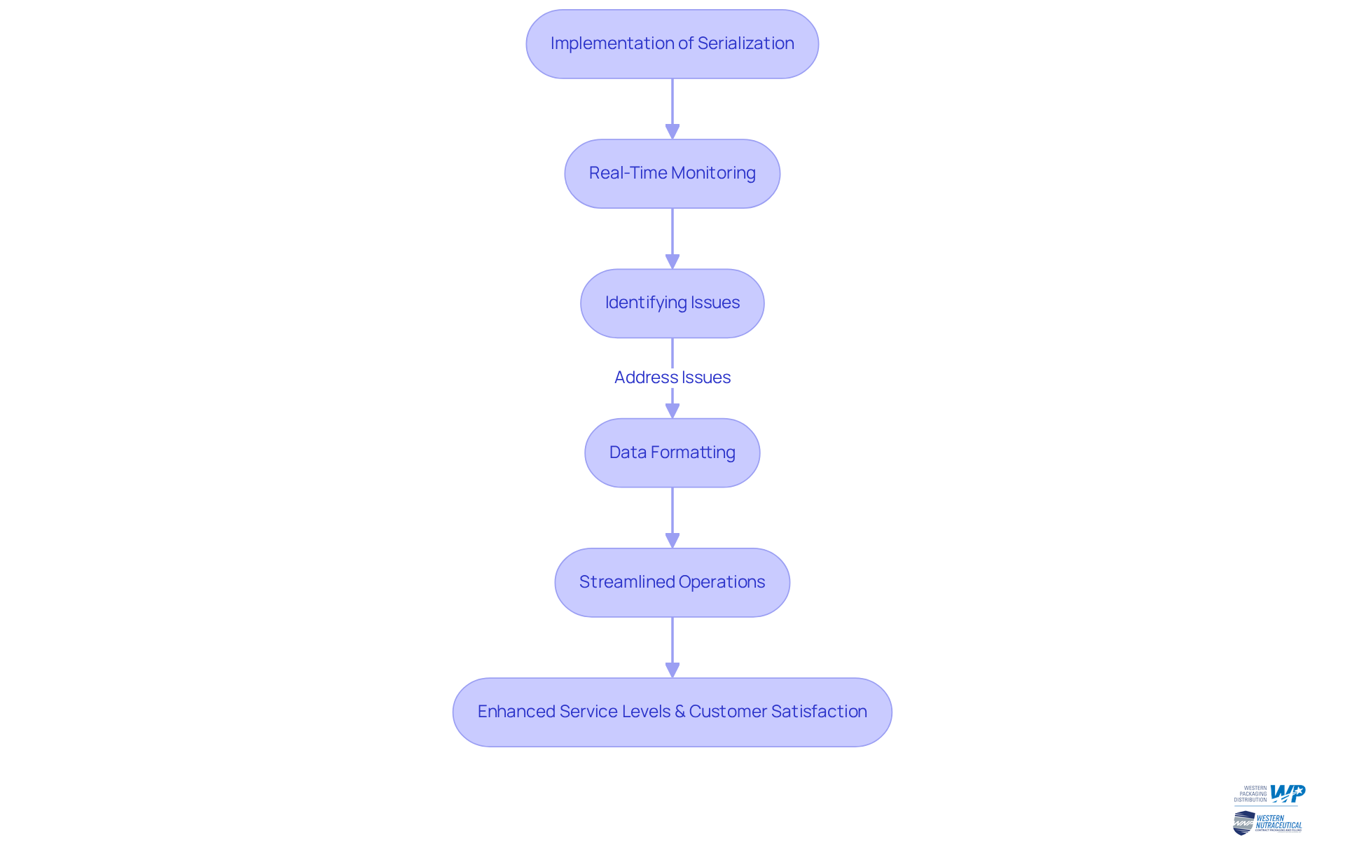Each box represents a key step in the serialization process. Follow the arrows to understand how each component contributes to improving supply chain efficiency and customer satisfaction.