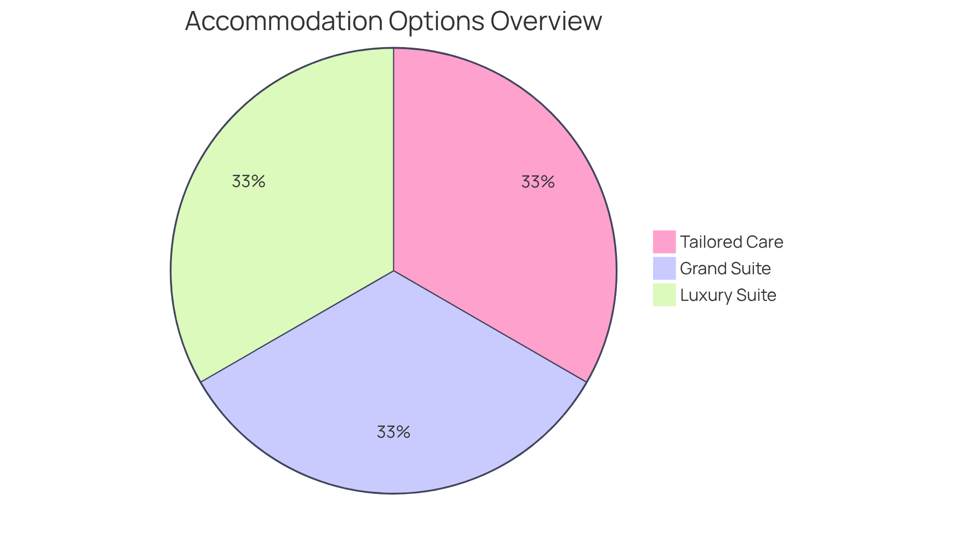 Each slice shows different accommodation options available at Jet Pet Resort, along with the percentage of pet owners who prioritize tailored care for their dogs — the larger the slice, the more popular the option.