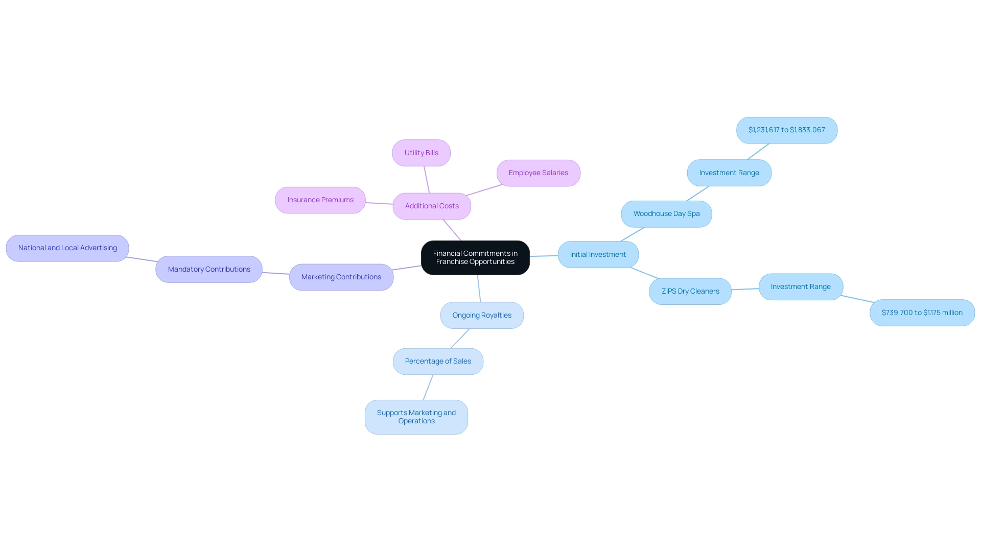 The central node represents the overall theme, with branches showing the main categories of financial commitments, and sub-branches detailing specific examples and explanations.