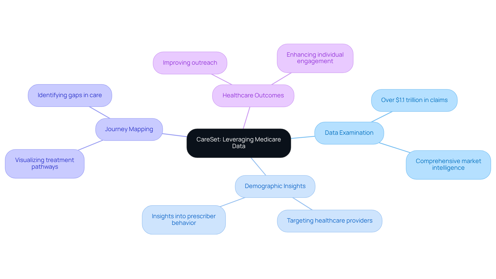 The central node represents CareSet's strategy, while the branches illustrate the various components that contribute to effective pharmaceutical marketing and improved healthcare outcomes.