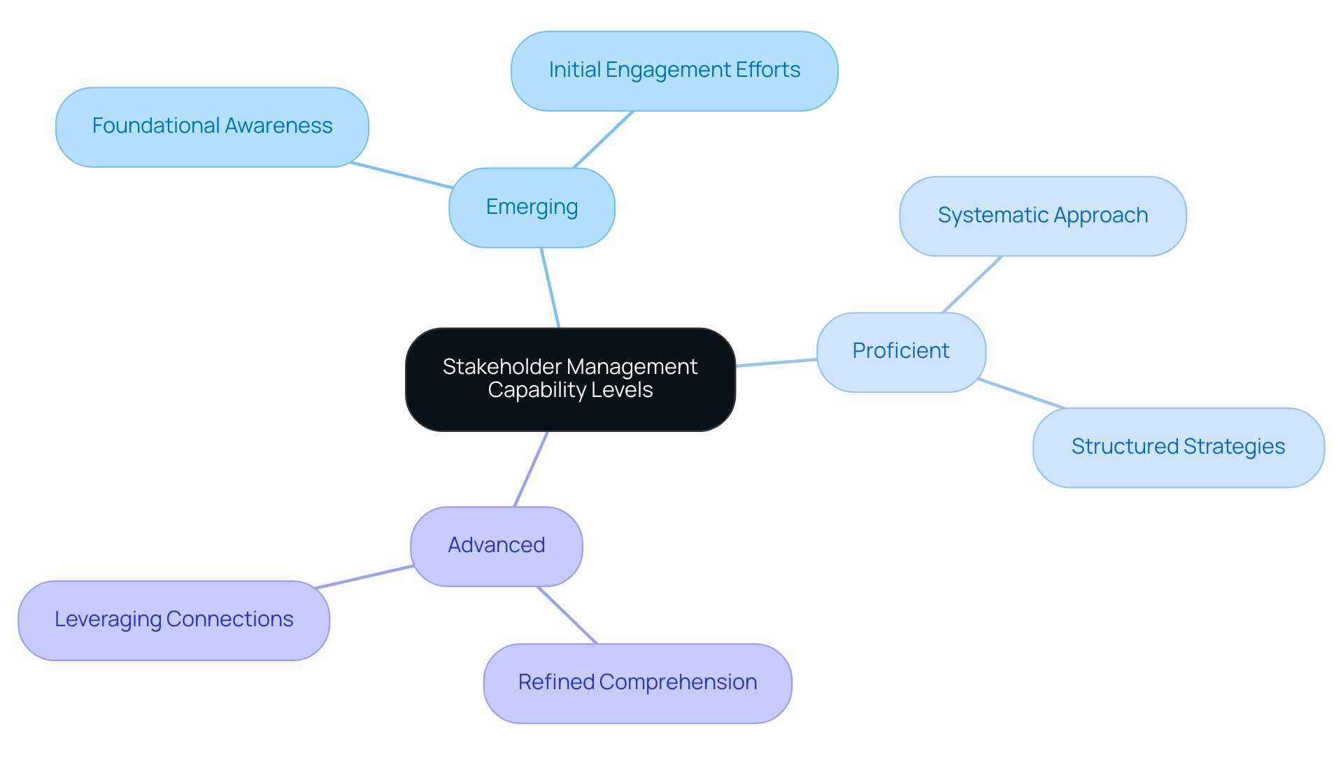 The central node represents the overall concept of stakeholder management capabilities, with branches showing the three key levels and their respective characteristics.