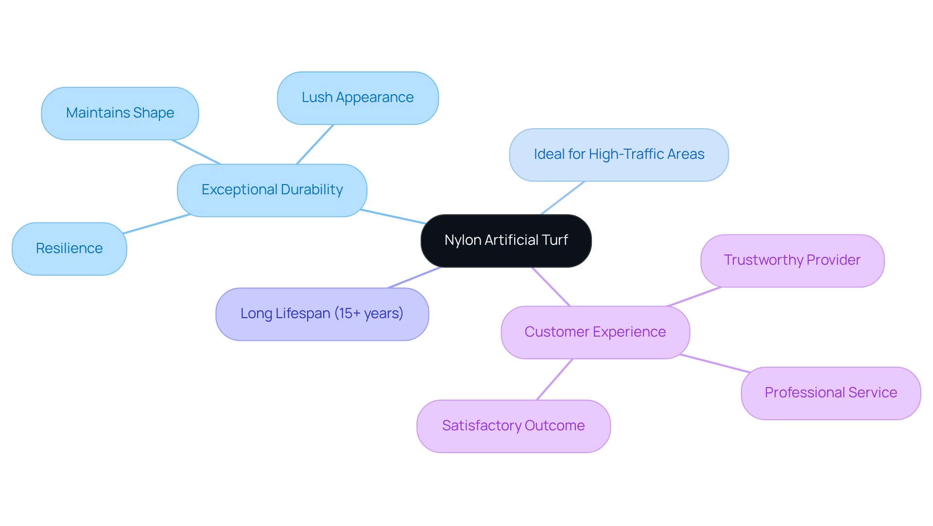 This mindmap starts with the main topic of nylon artificial turf at the center. Each branch represents a key benefit or customer experience related to the turf, helping you see how they connect and contribute to the overall value of the product.