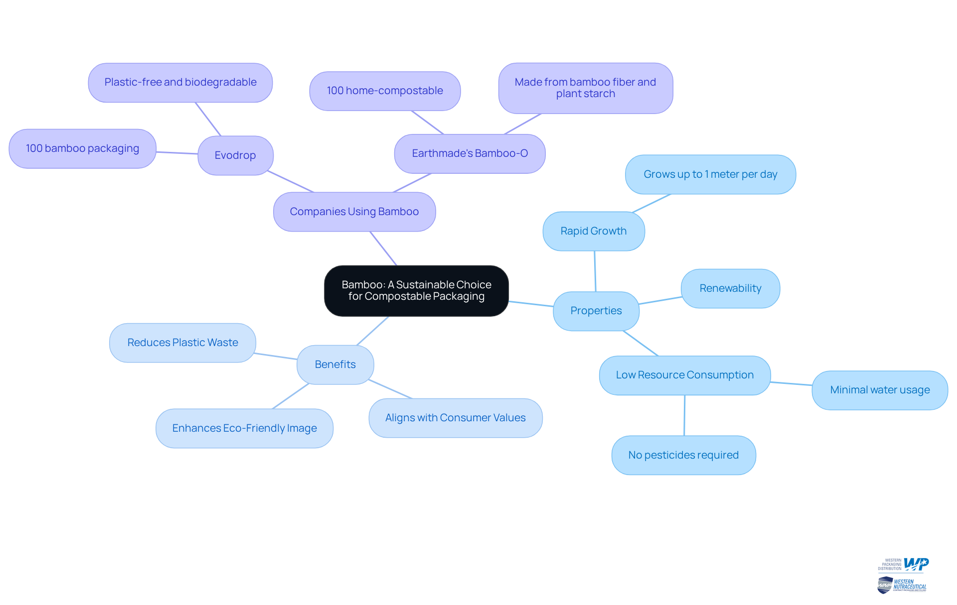 This mindmap explores how bamboo stands out as a sustainable packaging choice, breaking down its key features, benefits, and examples of companies leading the way.