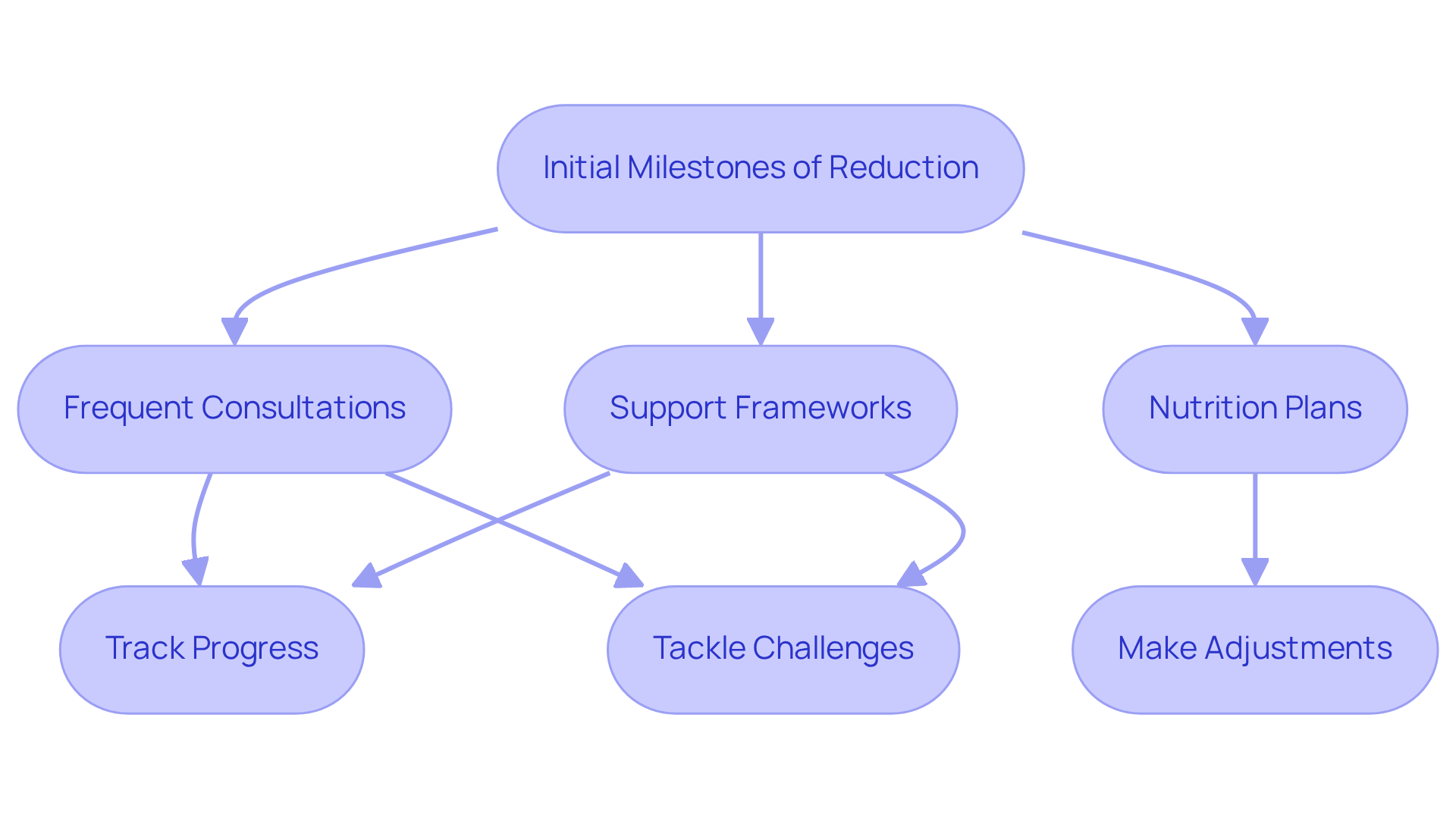 This flowchart shows how ongoing support helps maintain health achievements. Start at the top with initial milestones, then follow the arrows to see how consultations, nutrition plans, and support frameworks work together to ensure lasting results.