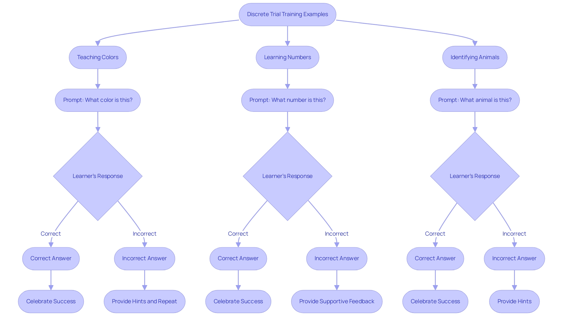 Each branch represents a practical example of DTT, with steps outlined to show the teaching process from prompt to reinforcement.