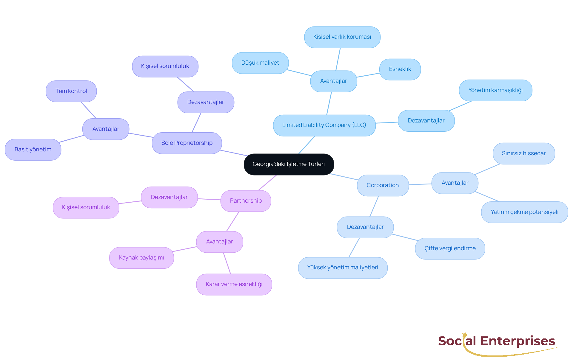 Merkezdeki başlık ile başlayın; ardından her bir işletme türüne ait dallara geçin. Dalların altındaki bilgiler, her yapının avantajlarını ve dezavantajlarını belirtir. Renkler ve düzen, bilgileri daha anlaşılır hale getirir.
