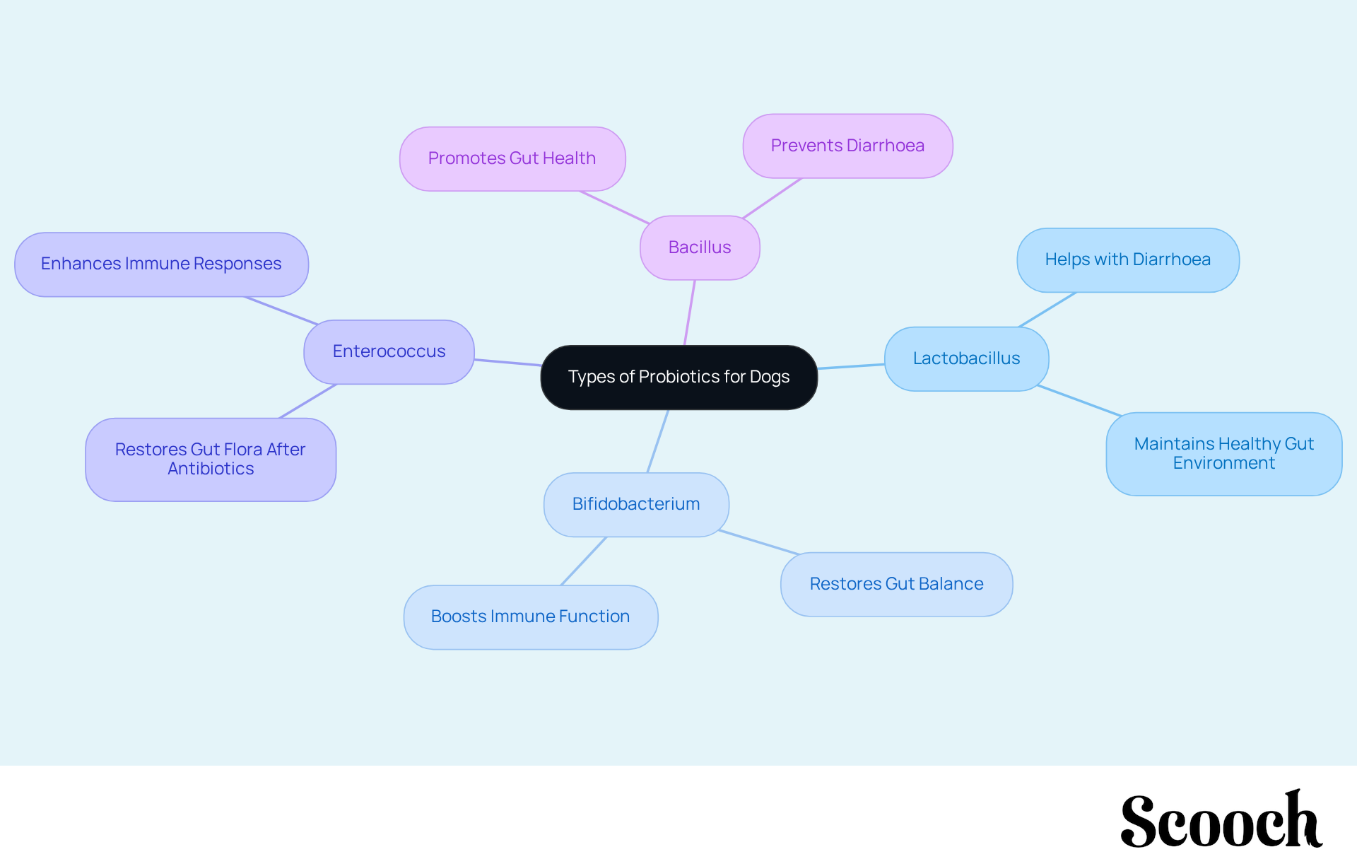 The central node represents the main topic of probiotics for dogs. Each branch shows a different type of probiotic, and the sub-branches explain what health issues they help with. This way, you can easily see which probiotic might be best for your dog's needs. The central node represents the main topic of probiotics for dogs. Each branch shows a different type of probiotic, and the sub-branches explain what health issues they help with. This way, you can easily see which probiotic might be best for your dog's needs.