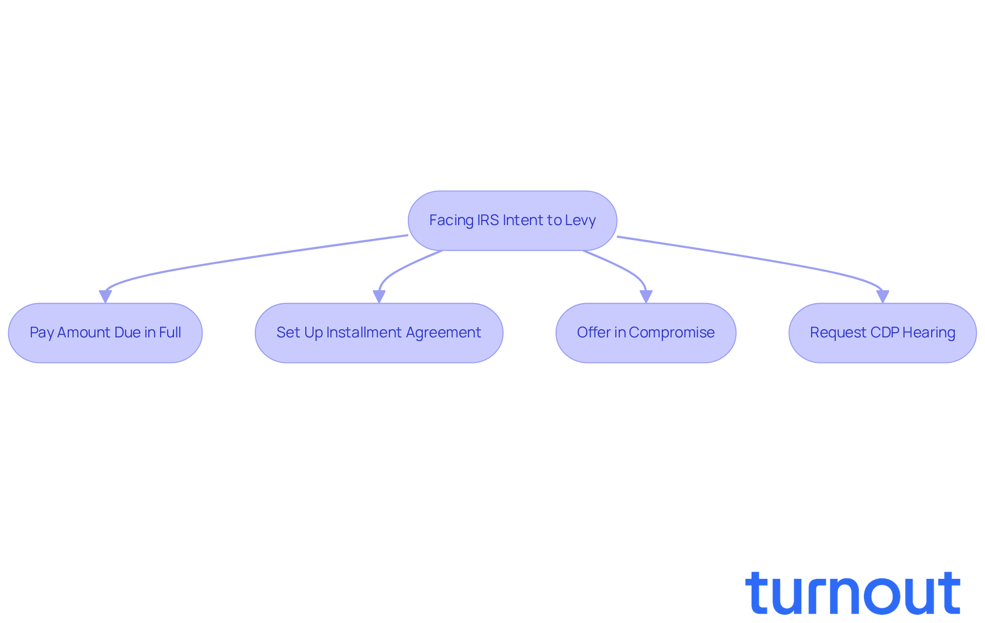 This flowchart shows the different paths you can take when facing an IRS levy. Each box represents an option you can choose, and the arrows guide you through the decision-making process.