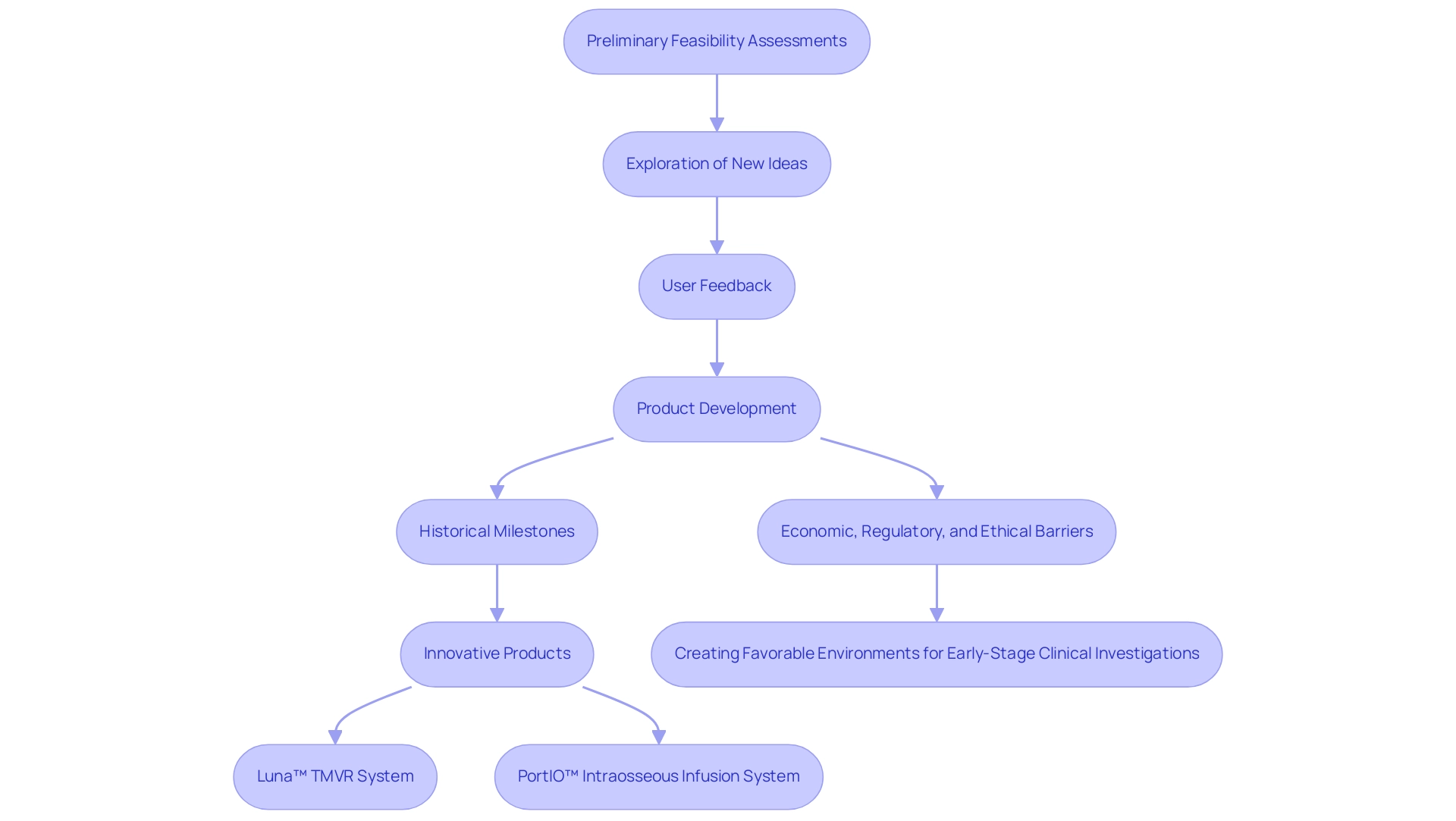 Each step represents a critical process in driving innovation, with arrows indicating the flow from feasibility assessments through to market adaptability.