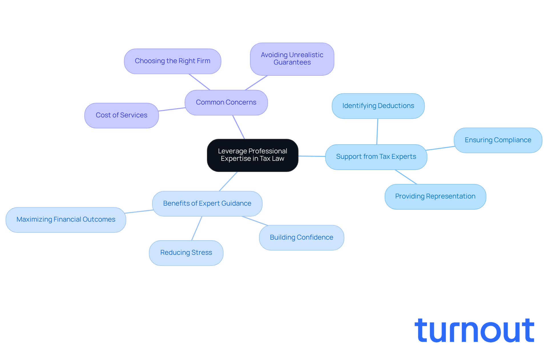 The central node represents the main idea of leveraging expertise in tax law, while the branches show the various ways tax experts can support you, helping you feel more confident and informed.