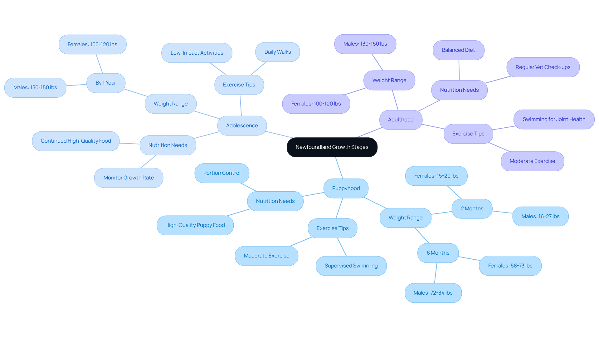 The center shows the main topic of growth stages, with branches detailing each stage's characteristics and needs, helping owners understand how to support their Newfoundland's development.