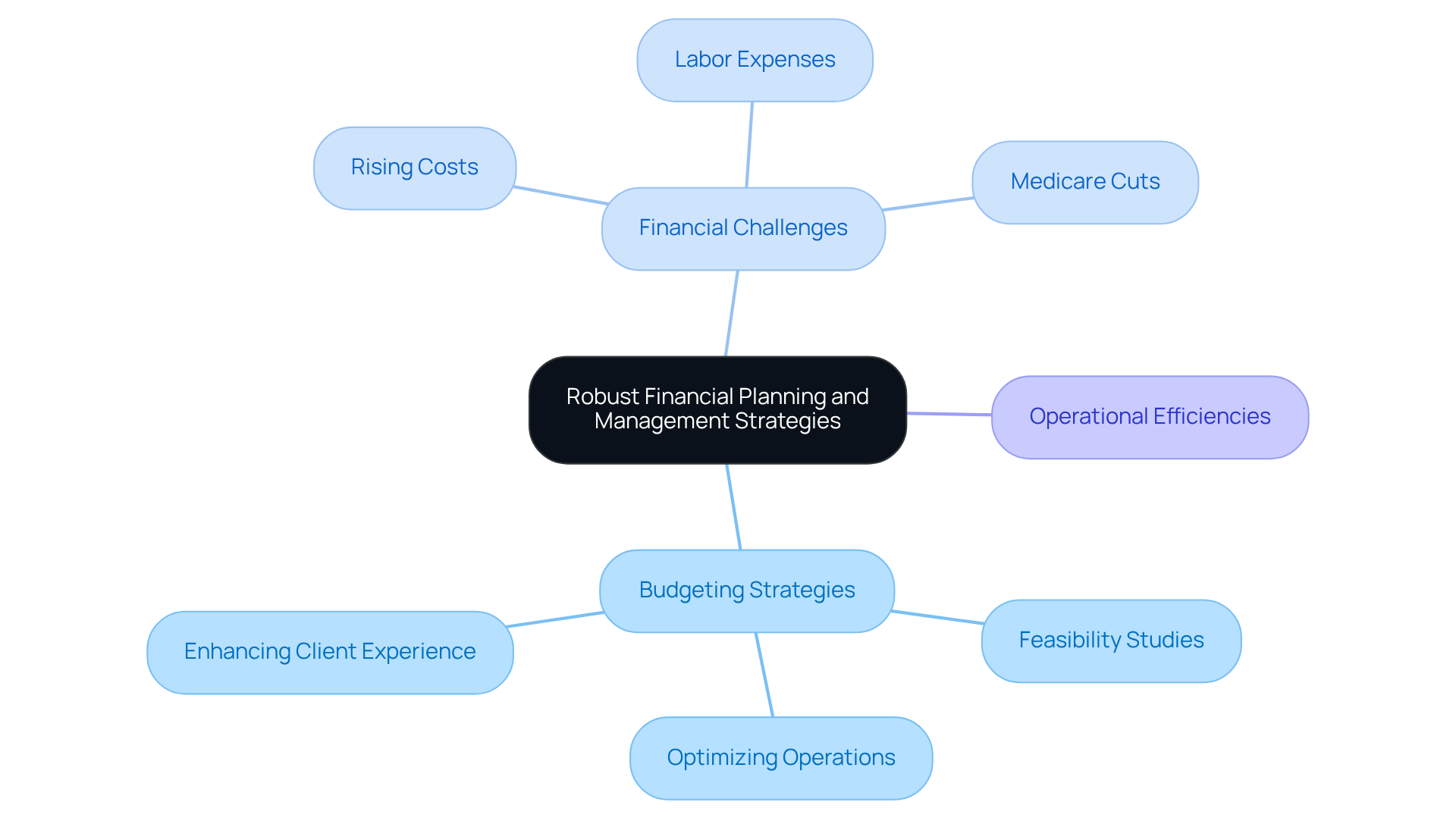 The central node represents the main focus on financial planning, while the branches show different strategies and challenges. Each color-coded branch helps you see how various aspects of financial management are interconnected.