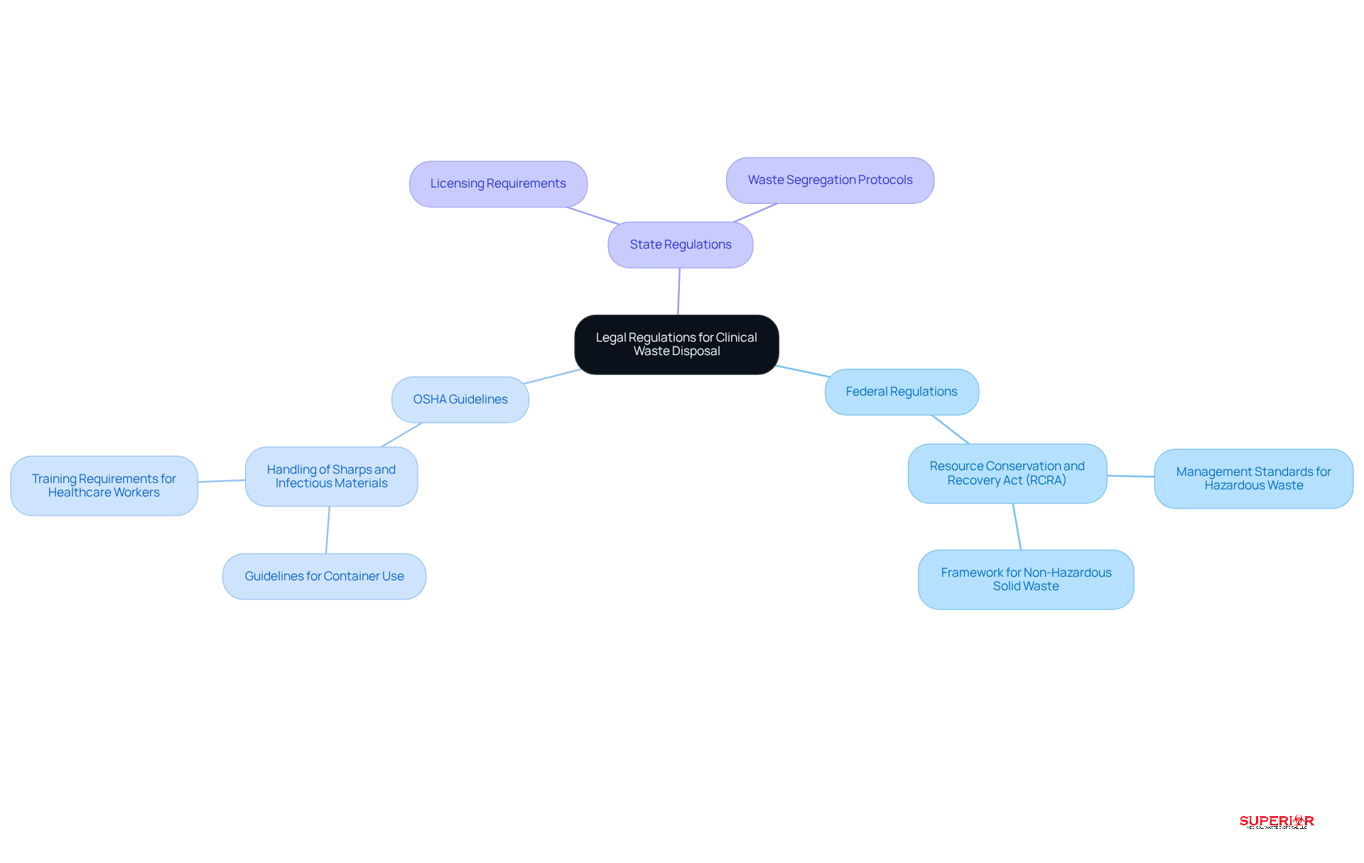 The central node represents the main topic, while the branches show different regulatory areas. Each sub-branch provides specific details about the regulations, helping you understand how they connect. The central node represents the main topic, while the branches show different regulatory areas. Each sub-branch provides specific details about the regulations, helping you understand how they connect.