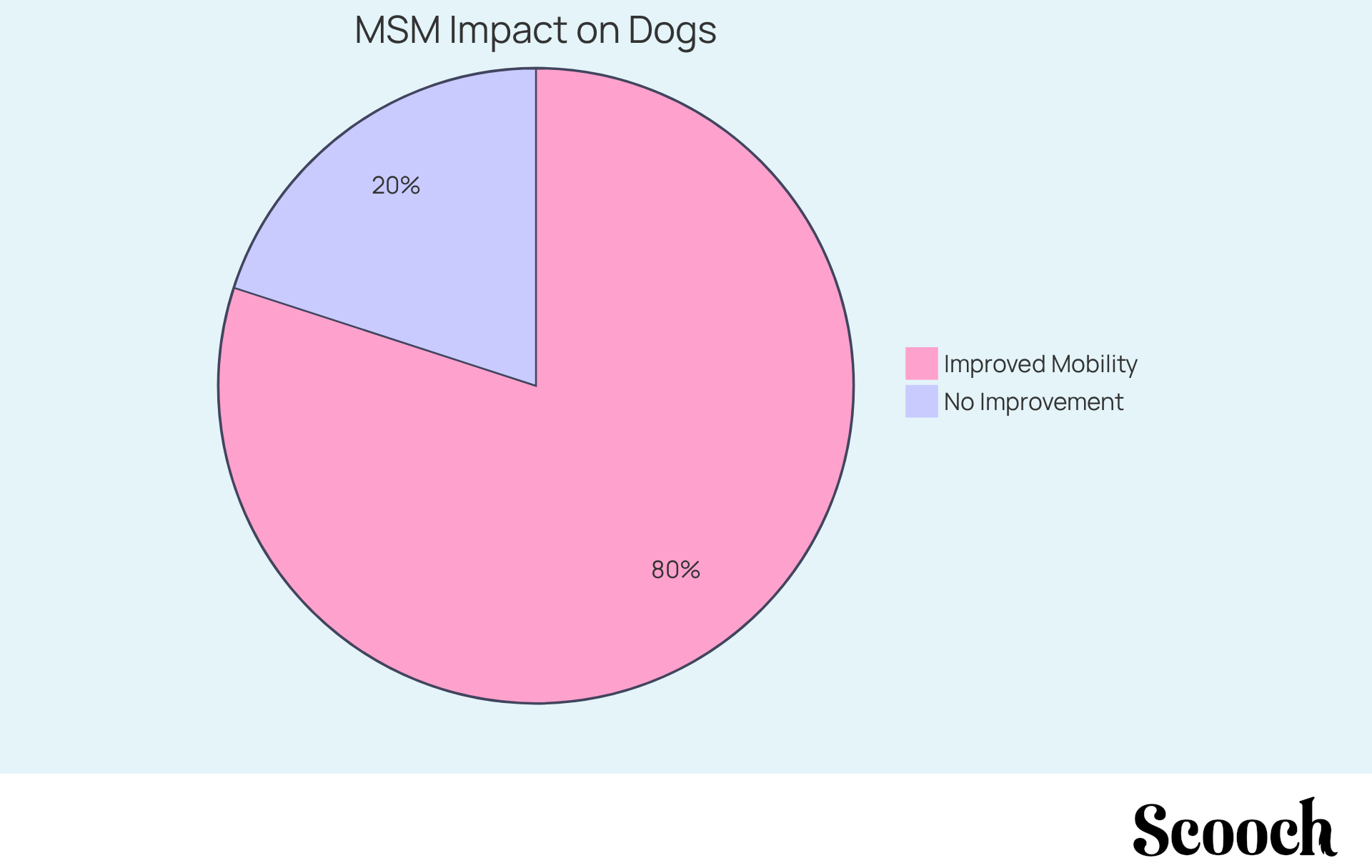 This pie chart shows how many dogs benefitted from MSM supplementation — the larger green slice indicates 80% of dogs saw improvements, while the smaller gray slice shows 20% did not.
