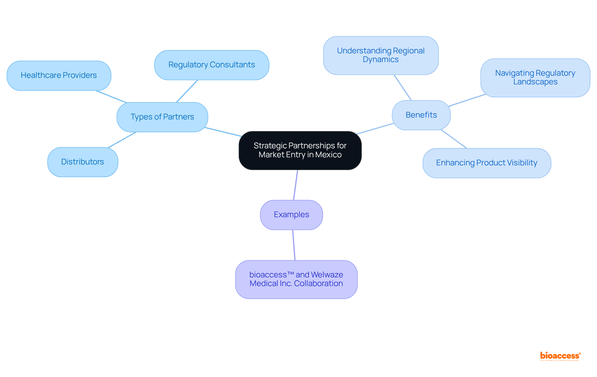 The central node represents the main theme of partnerships, with branches detailing the types of partners, their benefits, and real-world examples. This layout helps you see how each aspect contributes to a successful market entry strategy.