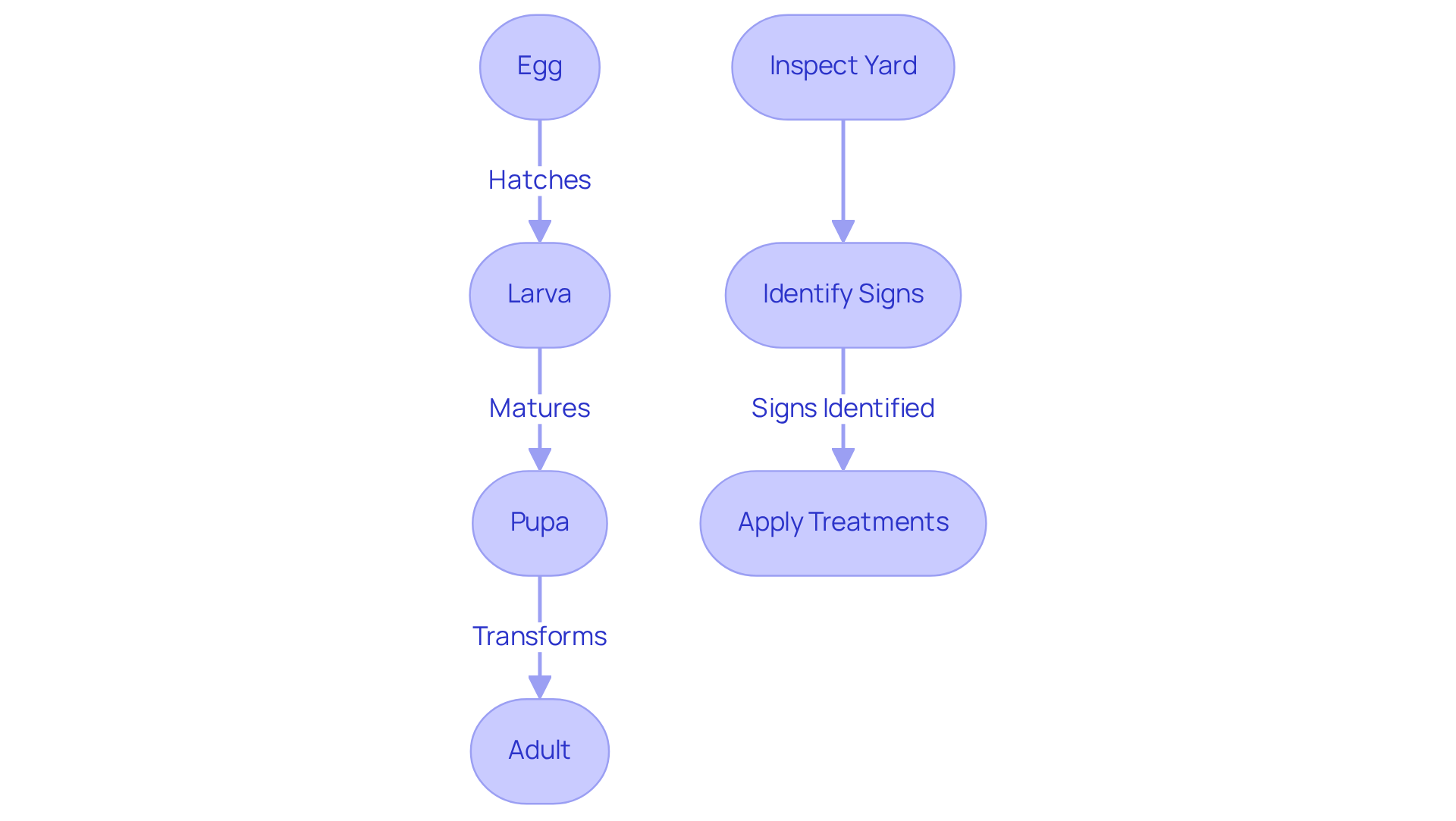 This flowchart shows the life stages of grubs and the steps you can take to manage them. Follow the arrows to understand how grubs develop and what actions to take for a healthy lawn.