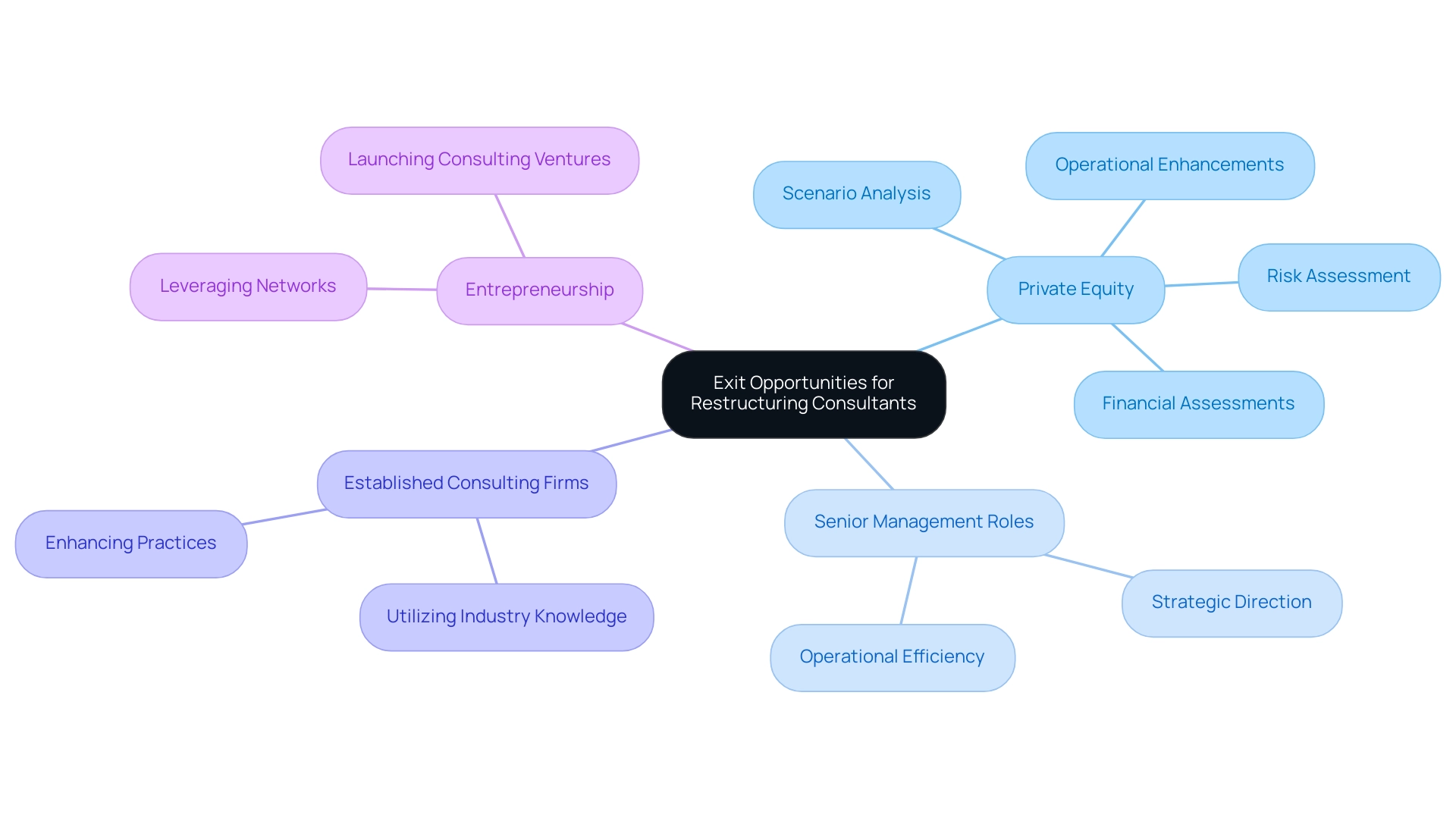 The central node represents exit opportunities, with branches showing specific career paths and their respective considerations.