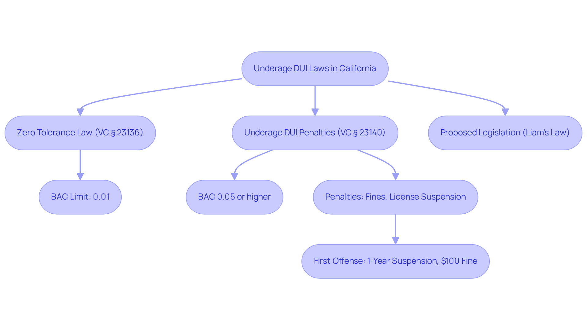 This flowchart outlines the key laws regarding underage DUI in California. Each branch represents a different aspect of the law, showing how BAC limits lead to specific penalties. Follow the arrows to understand the consequences of different BAC levels and the proposed changes to the law. This flowchart outlines the key laws regarding underage DUI in California. Each branch represents a different aspect of the law, showing how BAC limits lead to specific penalties. Follow the arrows to understand the consequences of different BAC levels and the proposed changes to the law.