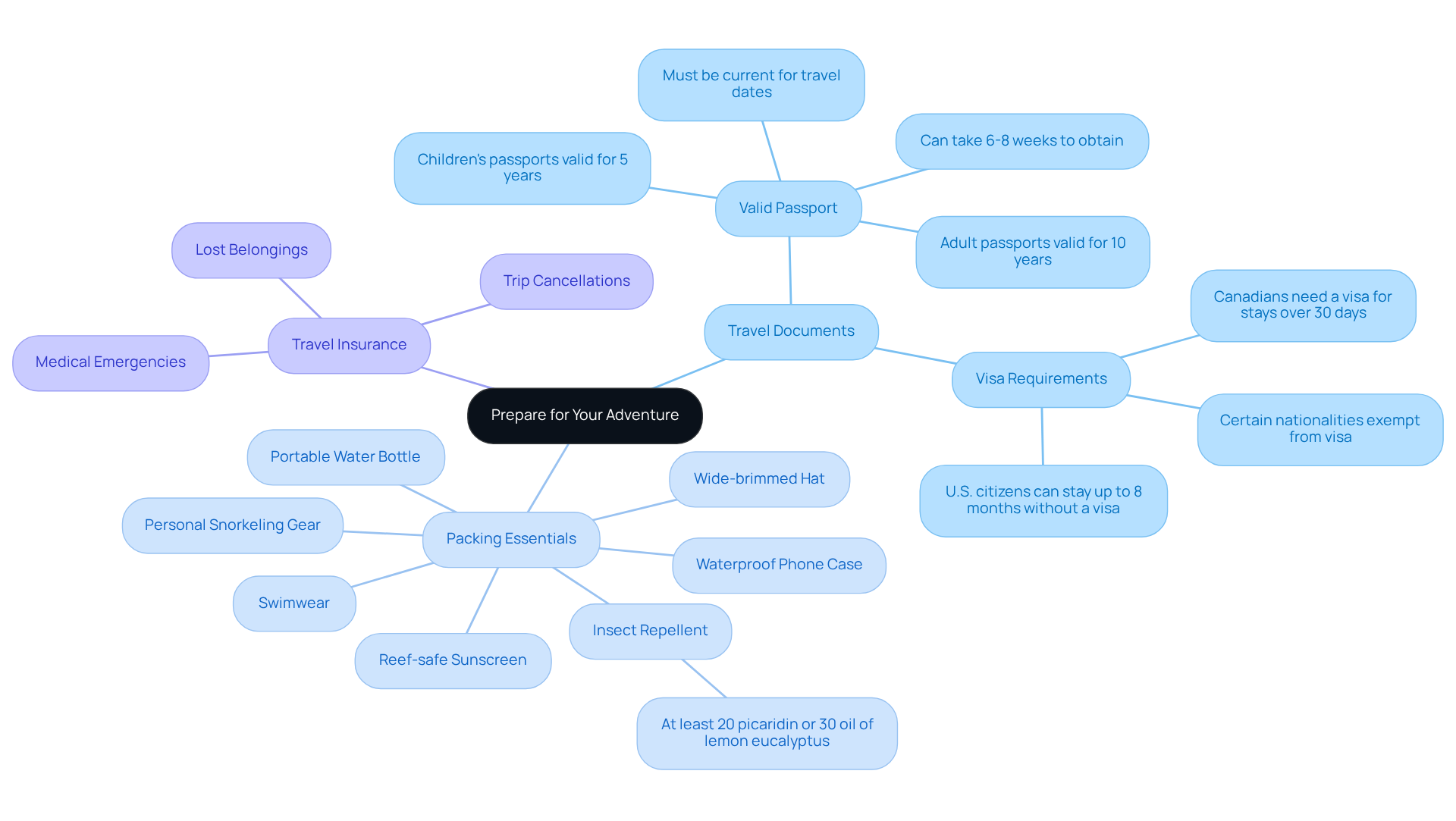 The mindmap shows what you need to prepare before your adventure. Start at the center with the main theme, then explore each branch to find out what documents, packing items, and insurance options you should consider.