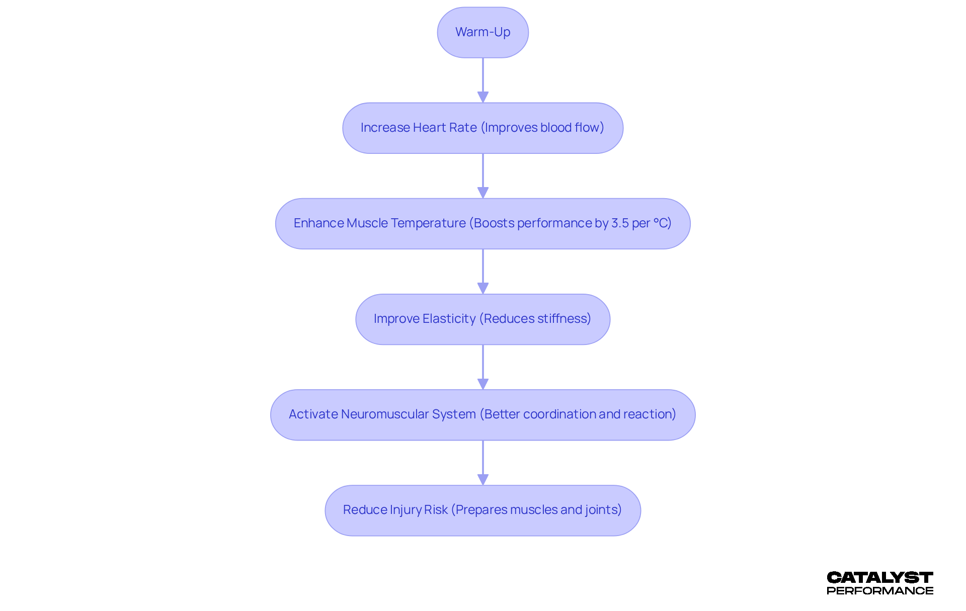 Follow the arrows to see how warming up leads to various benefits for your body. Each step shows how your body prepares for exercise, helping you perform better and stay safe.
