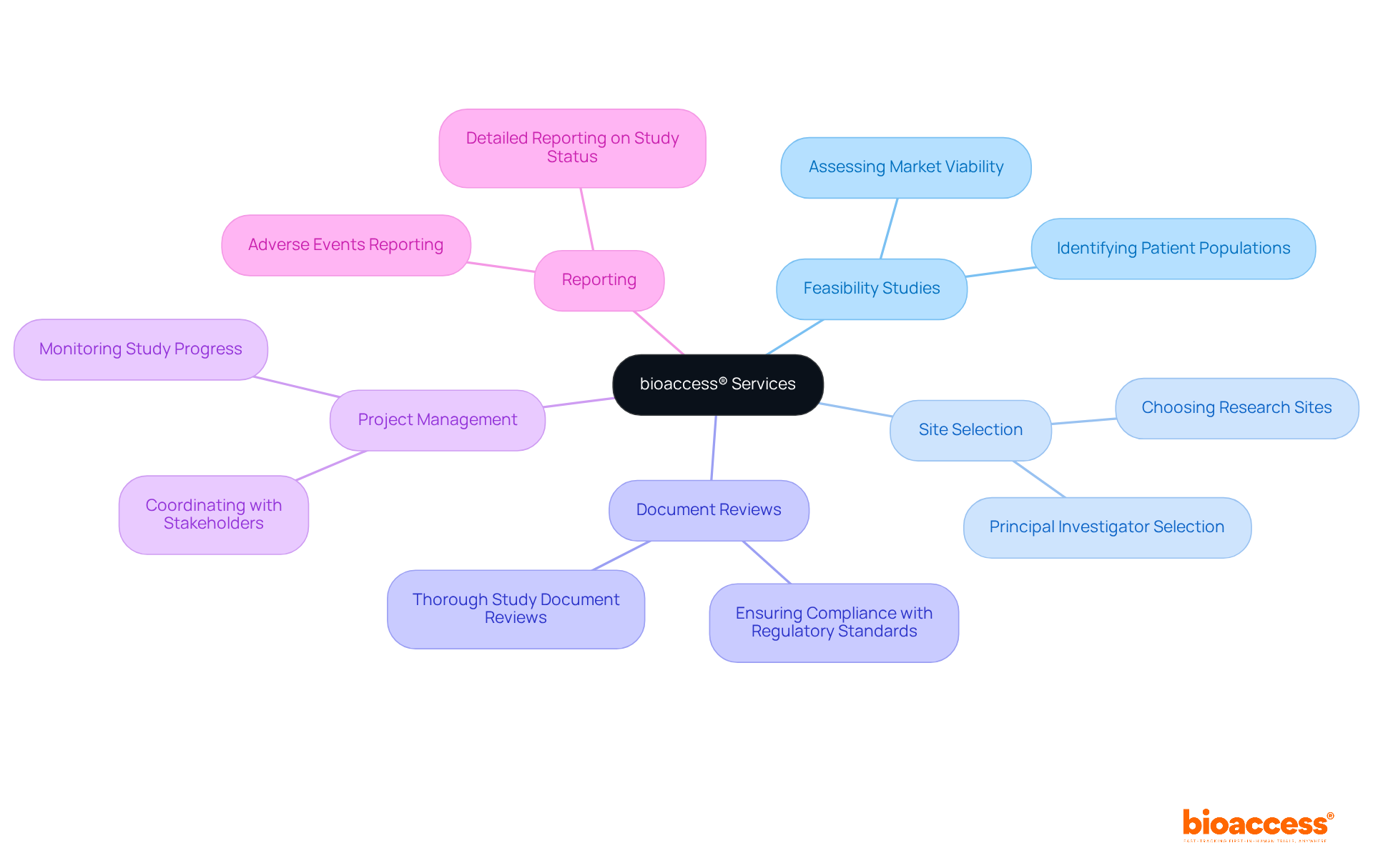 The center shows bioaccess® as the main service provider, with branches representing different services offered. Each branch dives into specific areas that support the overall goal of efficient medical device verification and validation.