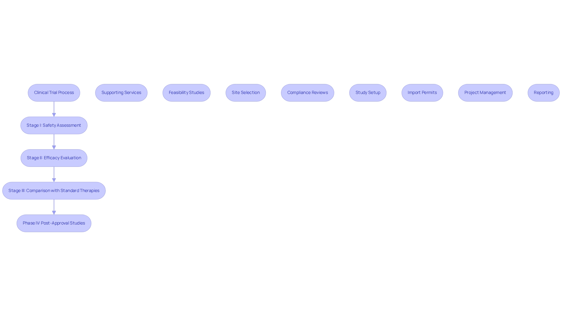 Each box represents a phase in the clinical trial process, showing how they connect. The side box outlines essential services that support these phases.