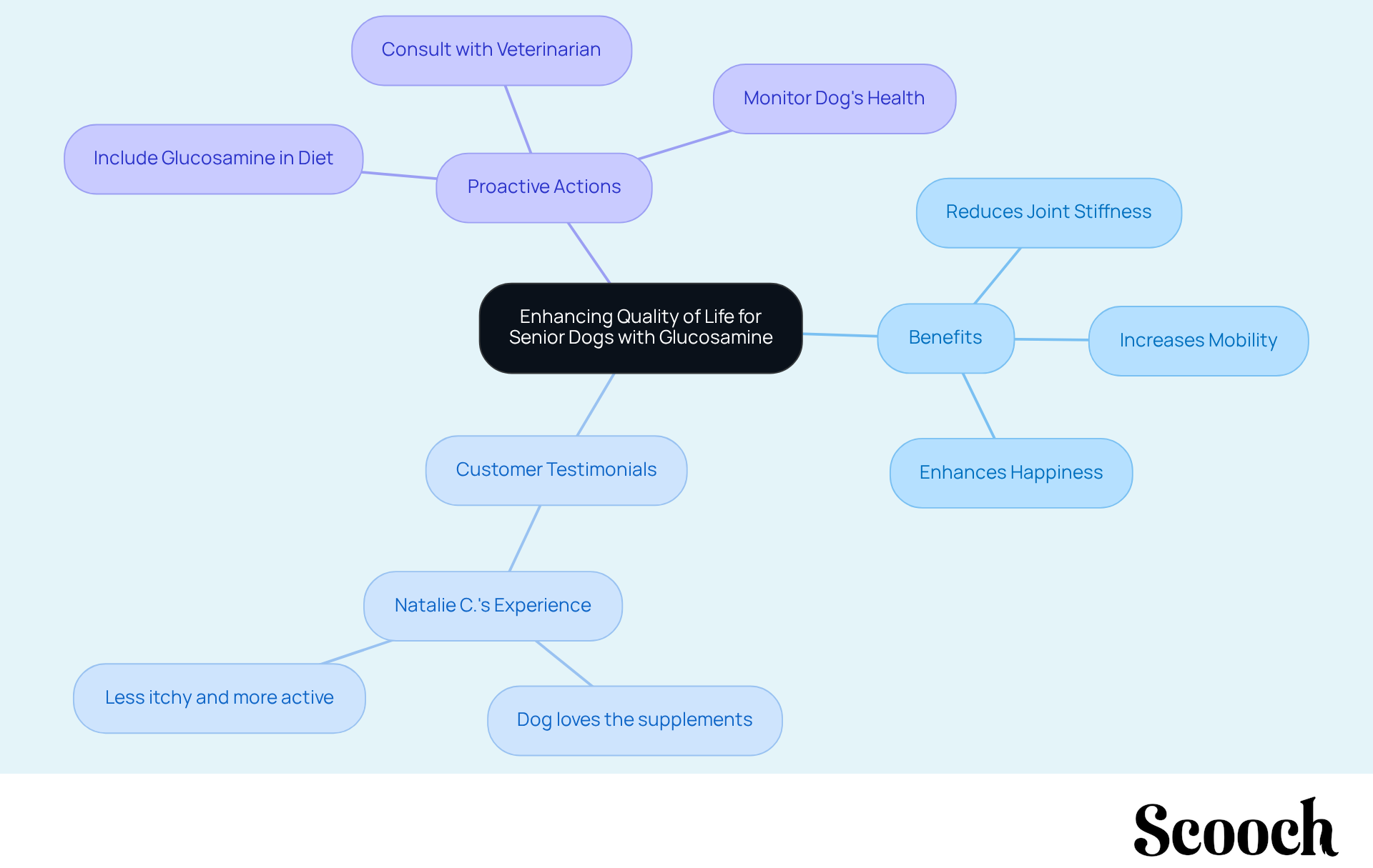 The central idea focuses on improving senior dogs' lives with glucosamine, with branches showing benefits, real-life customer experiences, and suggested actions for dog owners to take.
