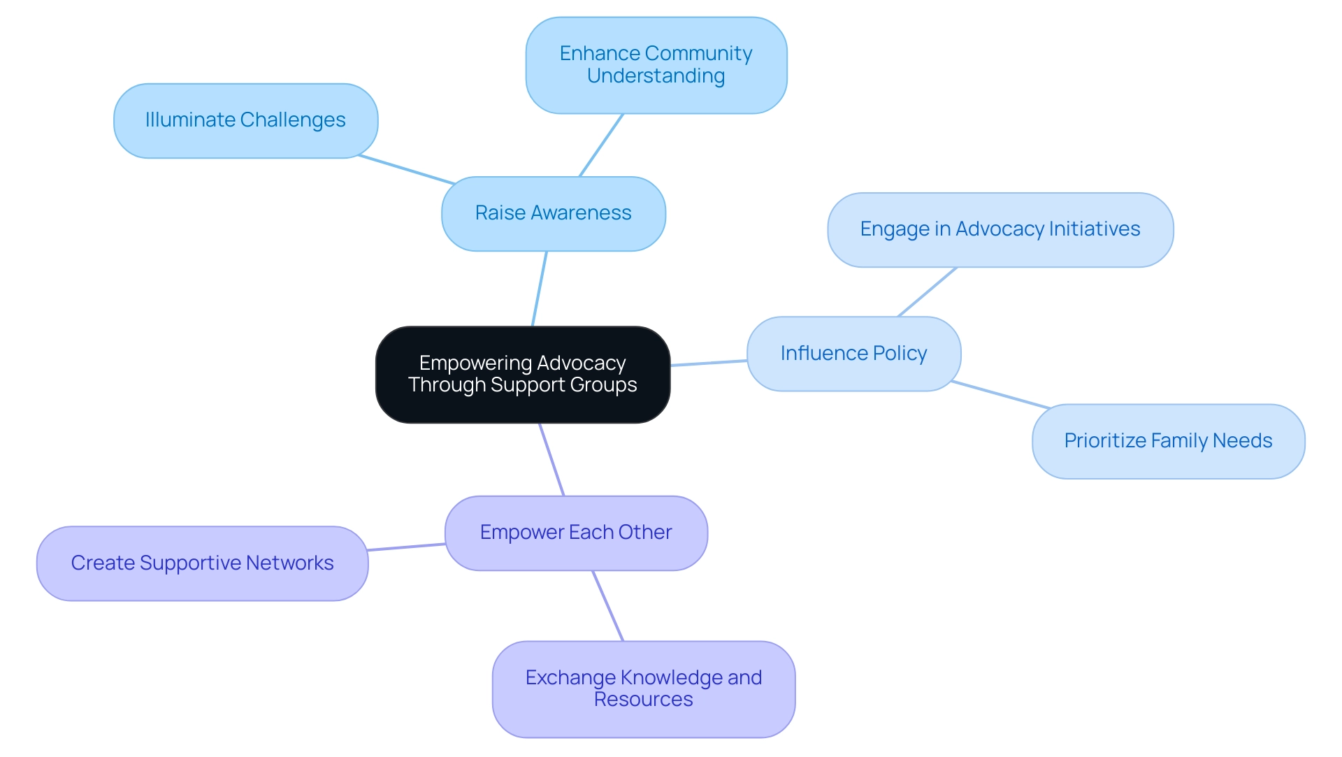 The central node represents the overarching theme of advocacy, while the branches represent key actions taken by support groups. Each color corresponds to a different action area.