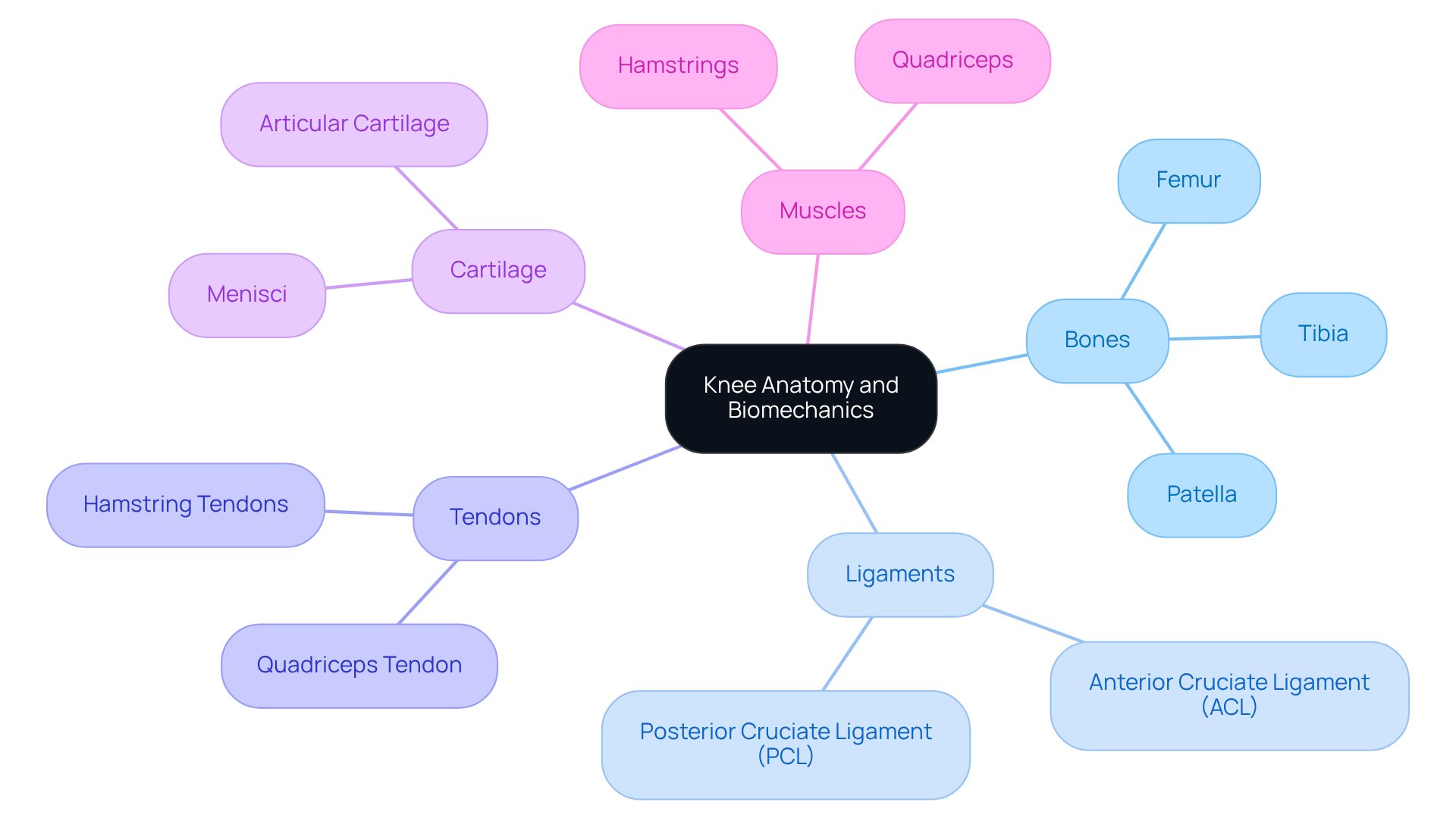 This mindmap starts with the knee's anatomy at the center and branches out to show the different parts and their functions. Each color represents a different category, helping you see how everything is connected and why each part is important for knee health.