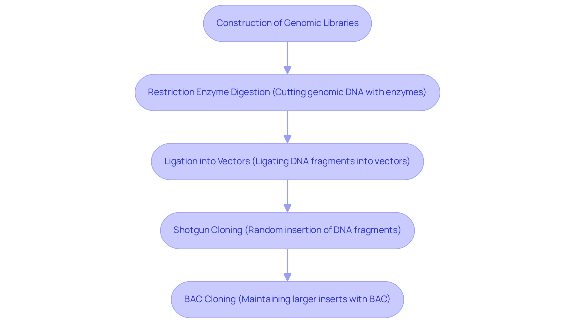 This flowchart shows the steps involved in constructing genomic libraries. Each box represents a technique used, and the arrows indicate the order in which these techniques are applied. Follow the flow to understand how researchers tackle the challenges of including introns and promoters.