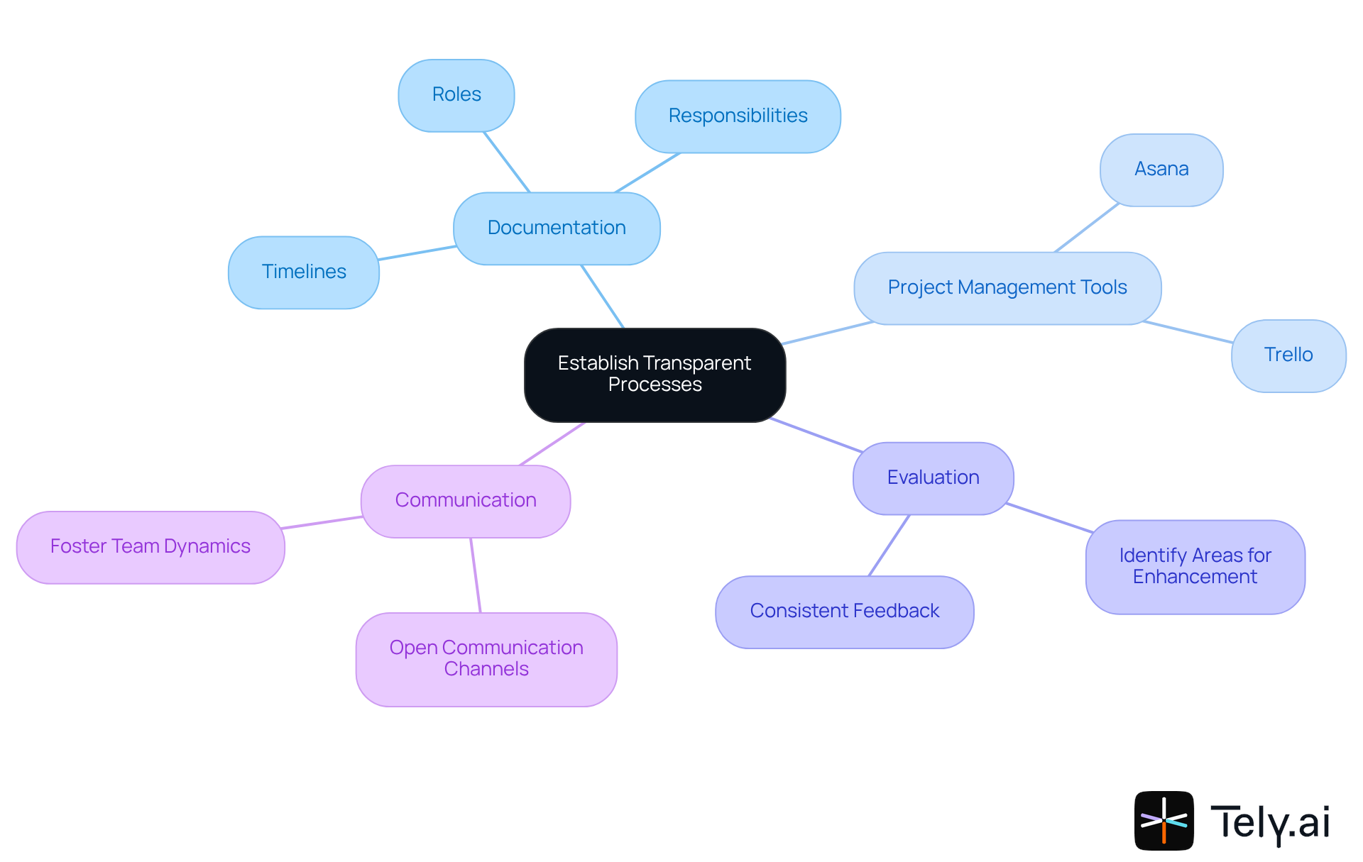 The central node represents the main focus on transparent processes. Each branch shows a key area of focus, with further details branching out to illustrate specific actions or tools related to that area.