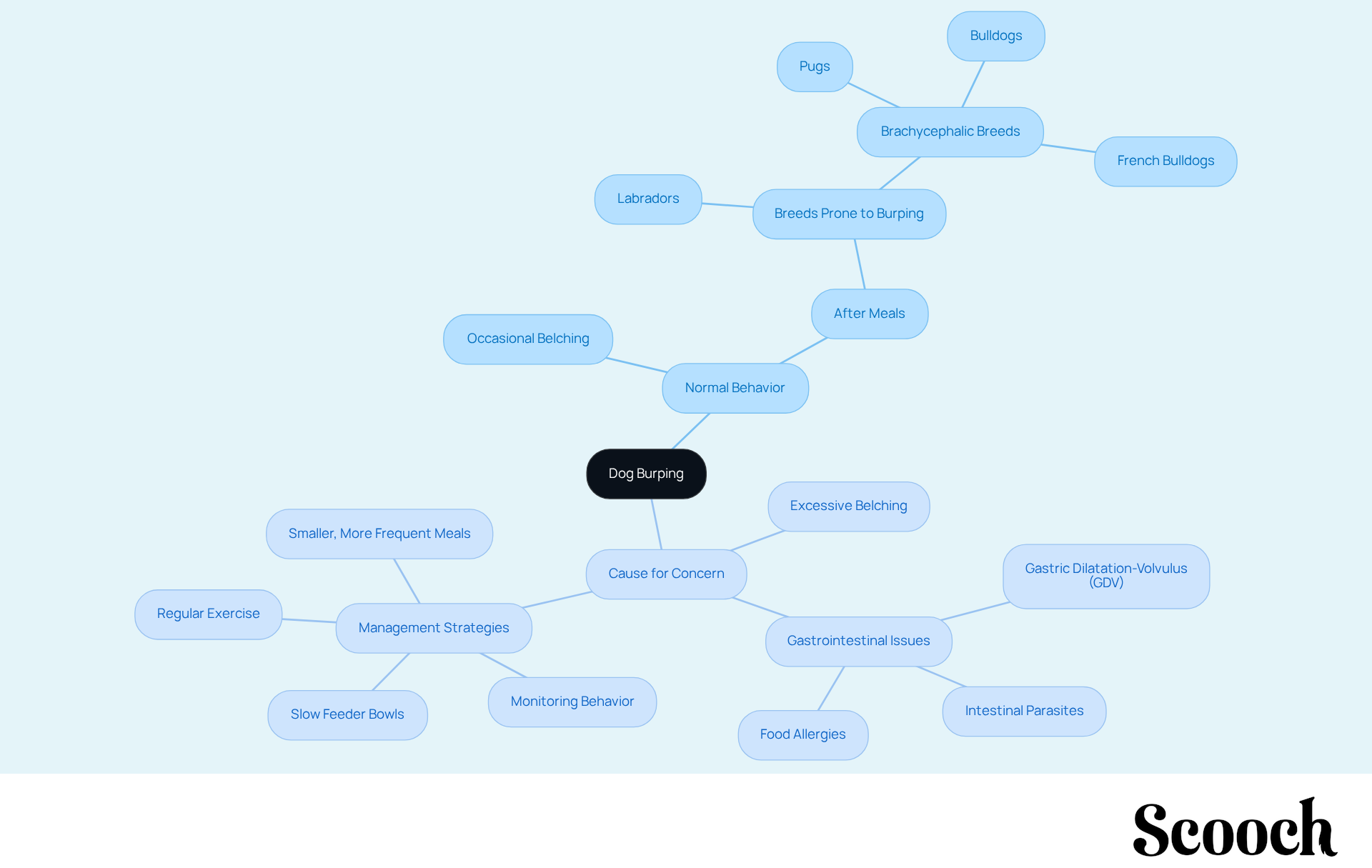 The central node represents the topic of dog burping. The branches show whether it's normal behavior or a cause for concern, with further details on each aspect. Follow the branches to explore the different factors and management strategies related to dog burping. The central node represents the topic of dog burping. The branches show whether it's normal behavior or a cause for concern, with further details on each aspect. Follow the branches to explore the different factors and management strategies related to dog burping.