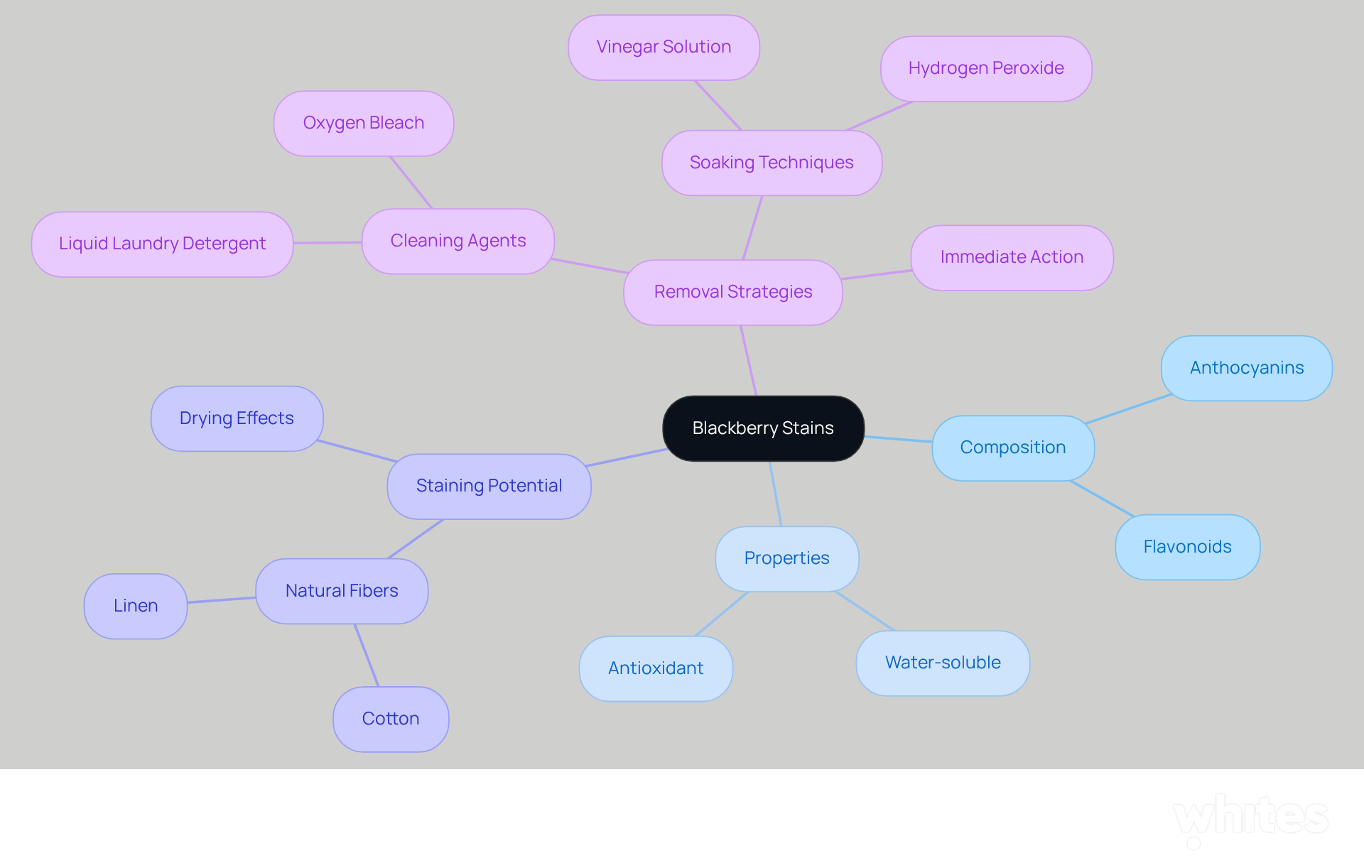 Explore the Composition of Blackberry Stains