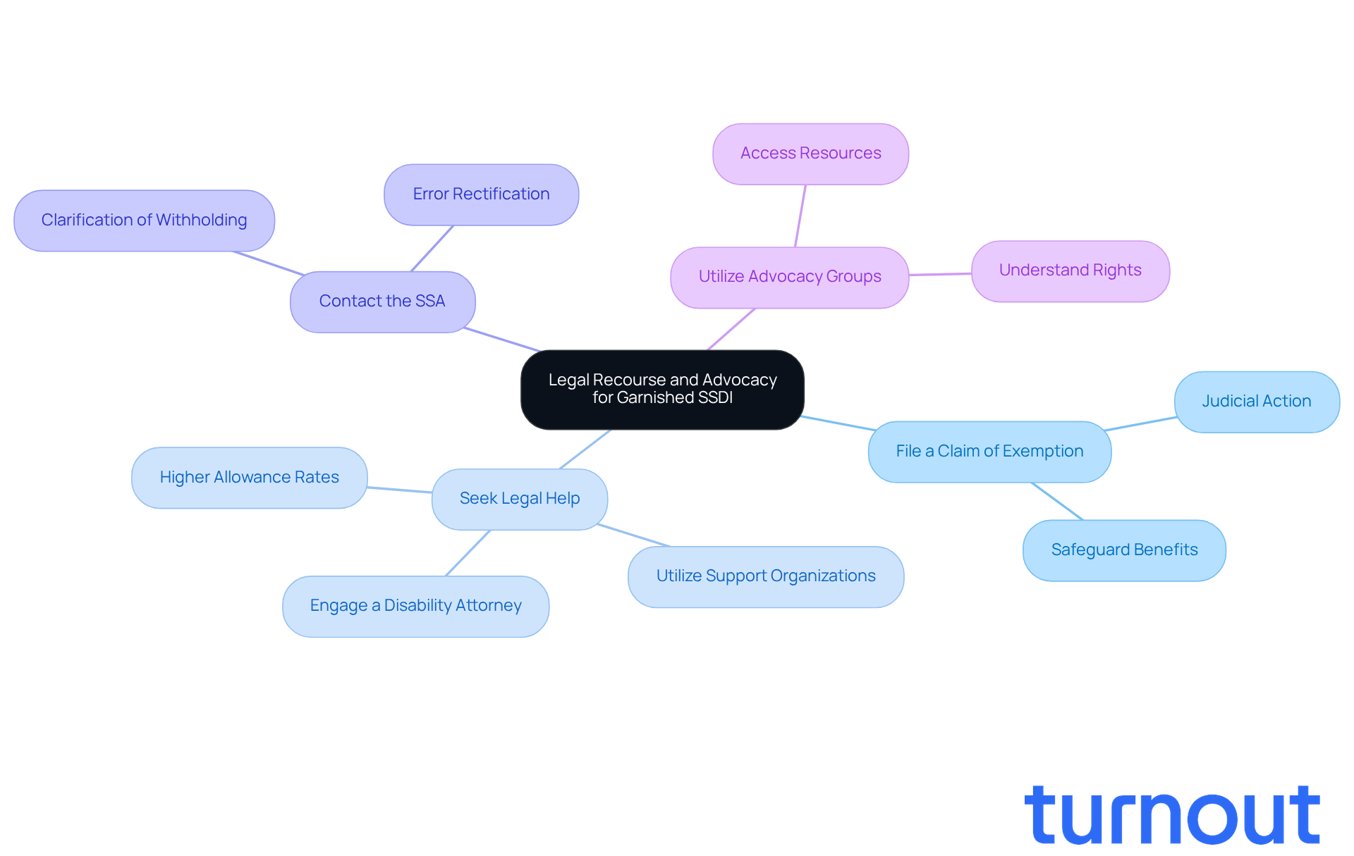 The center represents the main theme of legal recourse and advocacy. Each branch shows a different option available to SSDI recipients, helping you understand your choices and the support available.
